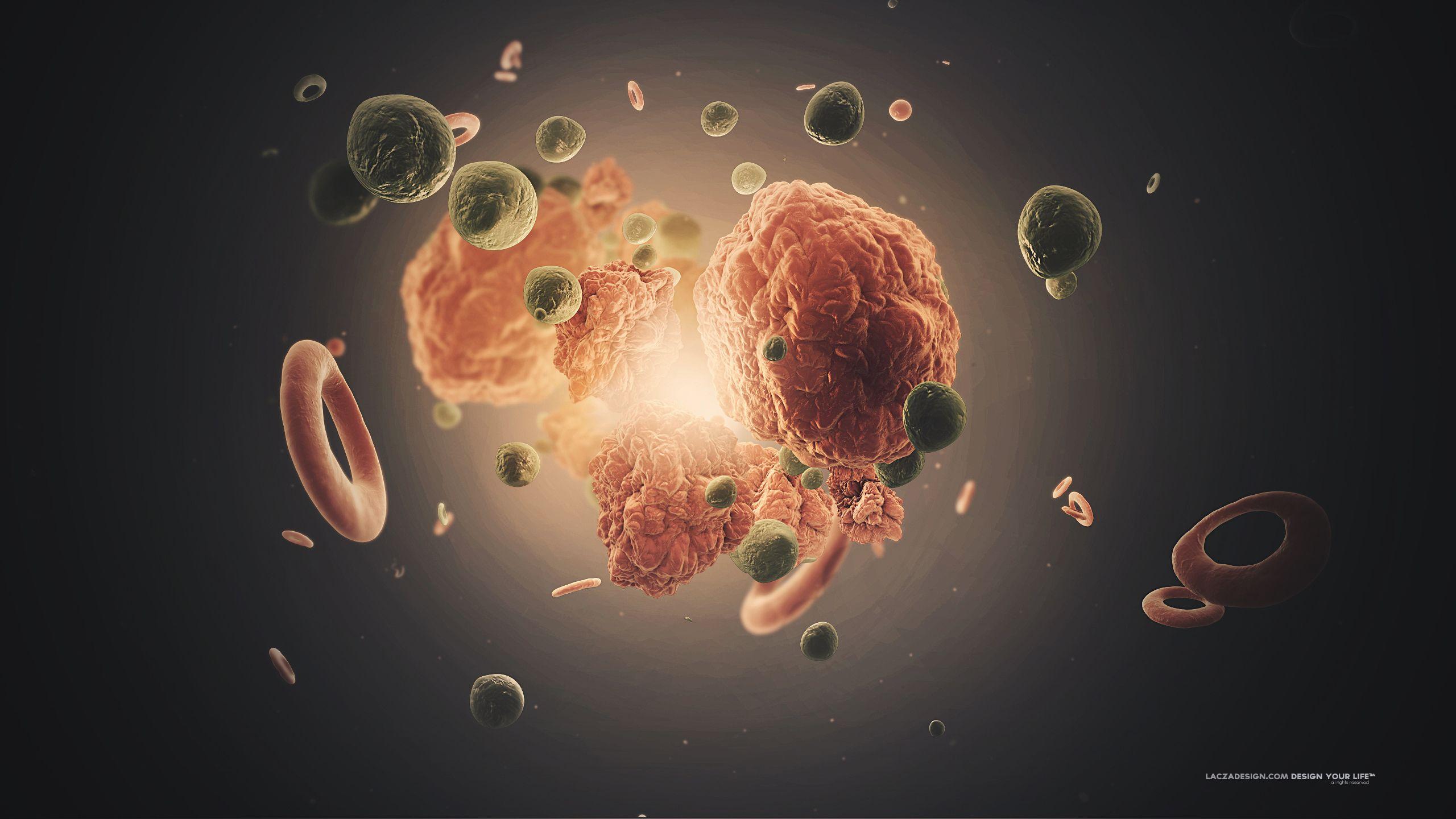 Brain Cells Wallpapers - Top Free Brain Cells Backgrounds - WallpaperAccess