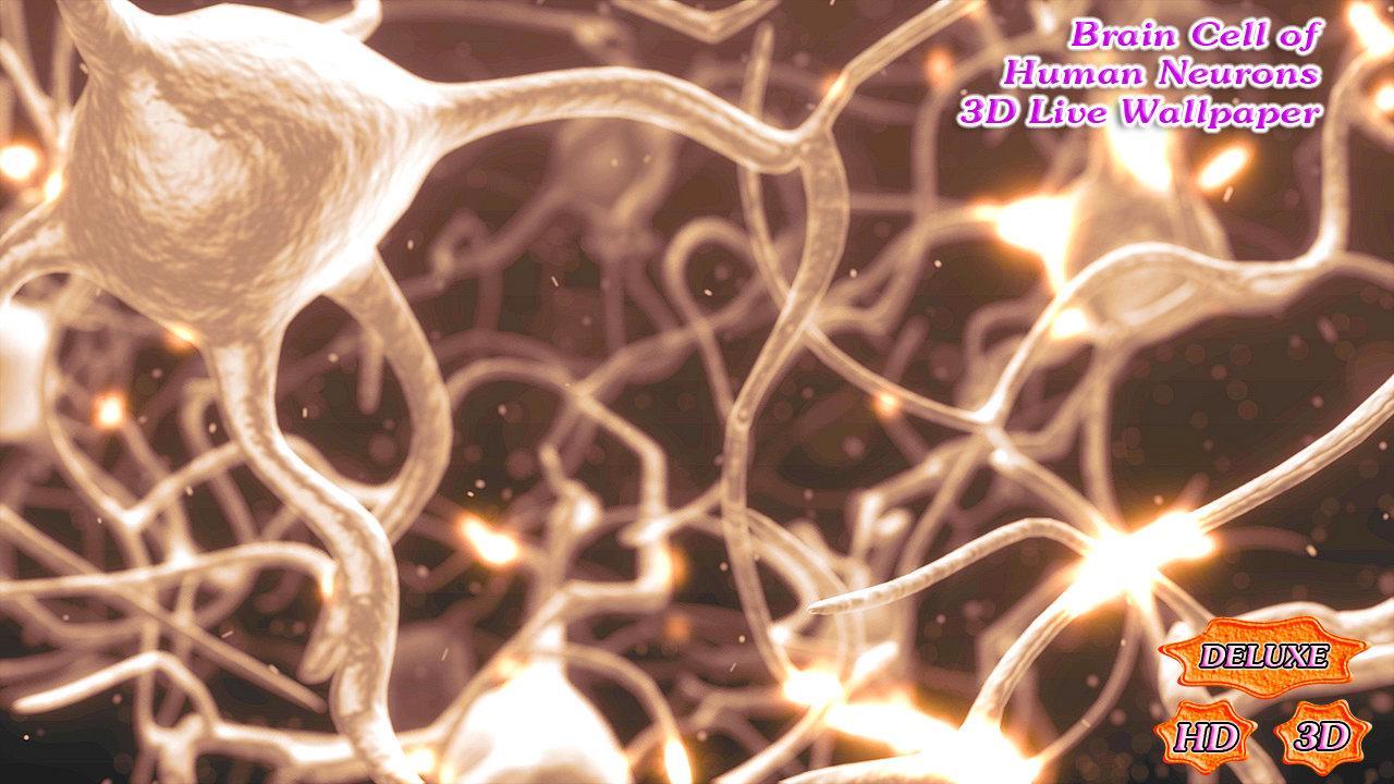 Brain Cells Wallpapers - Top Free Brain Cells Backgrounds - WallpaperAccess