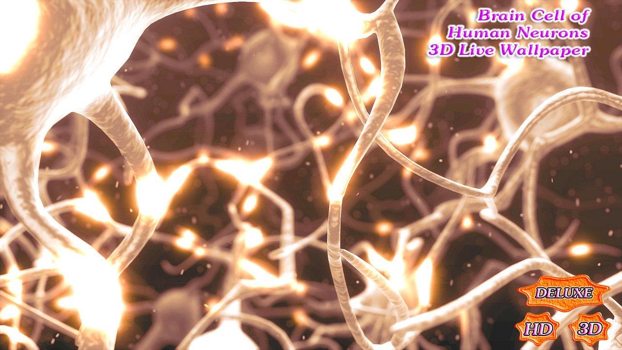 Brain Cells Wallpapers - Top Free Brain Cells Backgrounds - WallpaperAccess
