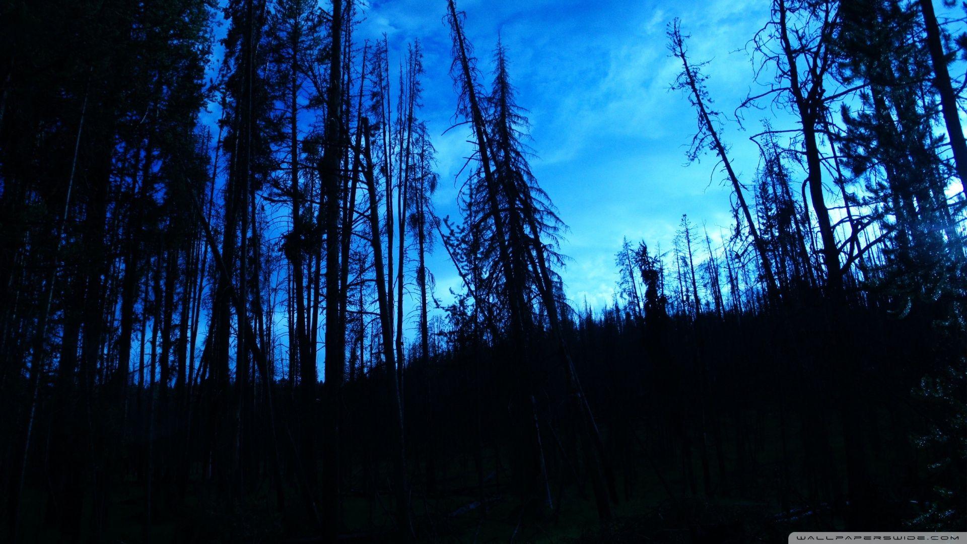 Blue Night Desktop Wallpapers - Top Free Blue Night Desktop Backgrounds ...