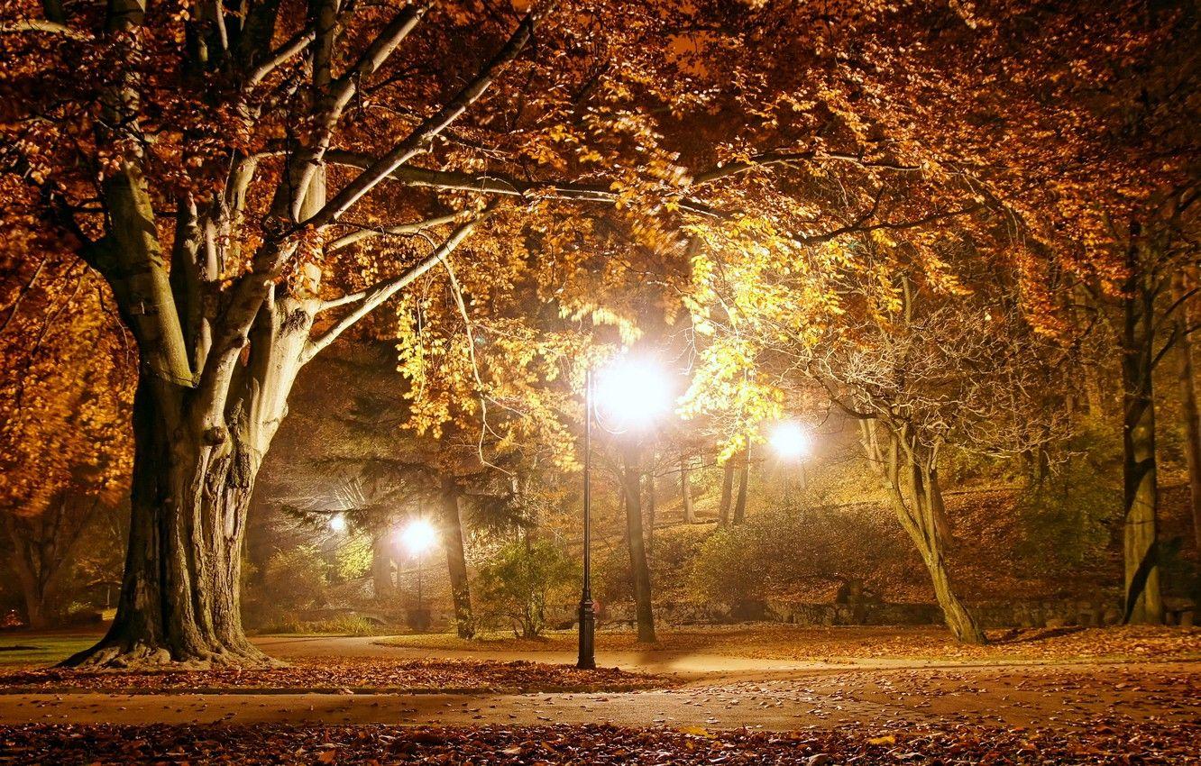Fall Night Wallpapers - Top Free Fall Night Backgrounds - WallpaperAccess