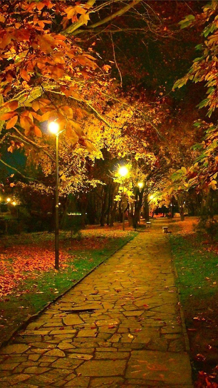 Autumn Evening Wallpapers - Top Free Autumn Evening Backgrounds ...