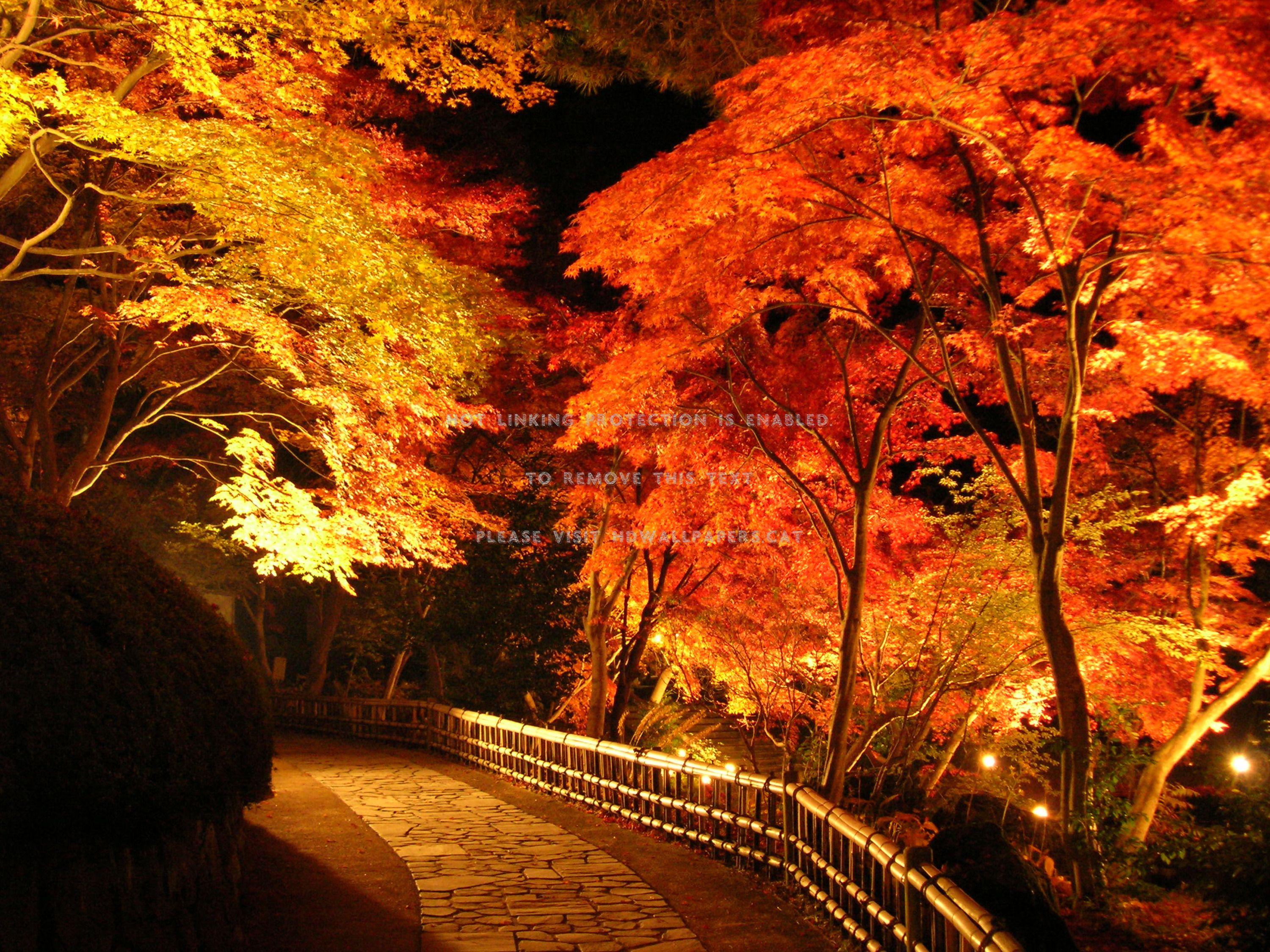 Autumn Night Desktop Wallpapers - Top Free Autumn Night Desktop ...