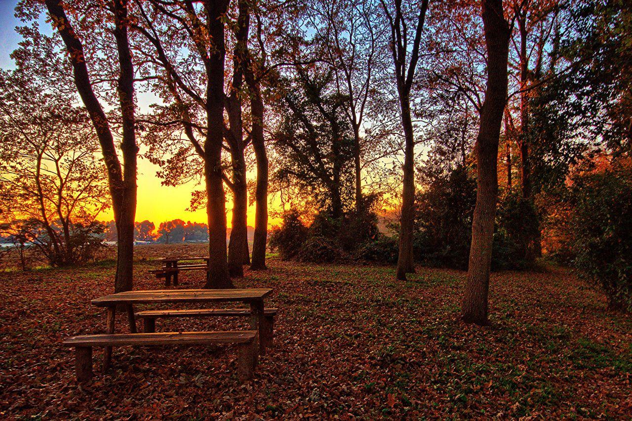 Autumn Evening Wallpapers - Top Free Autumn Evening Backgrounds ...