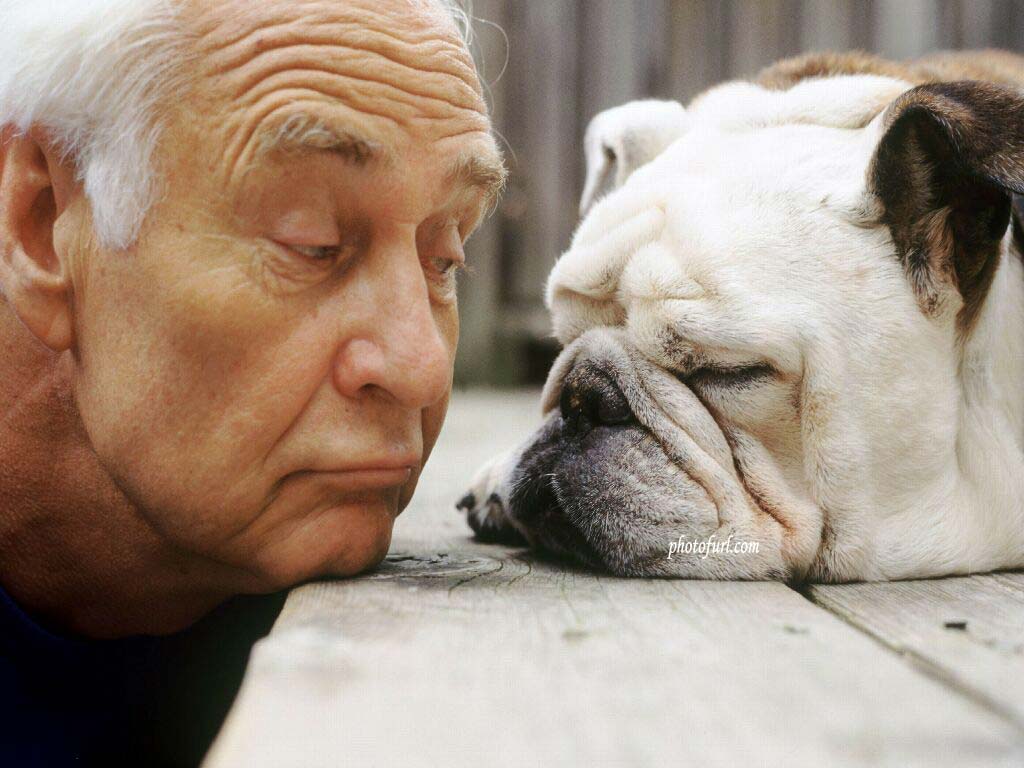 Funny Man Wallpapers - Top Free Funny Man Backgrounds - WallpaperAccess