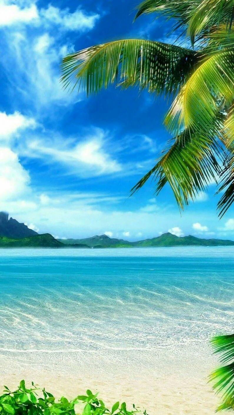 Beach Smartphone Wallpapers - Top Free Beach Smartphone Backgrounds ...