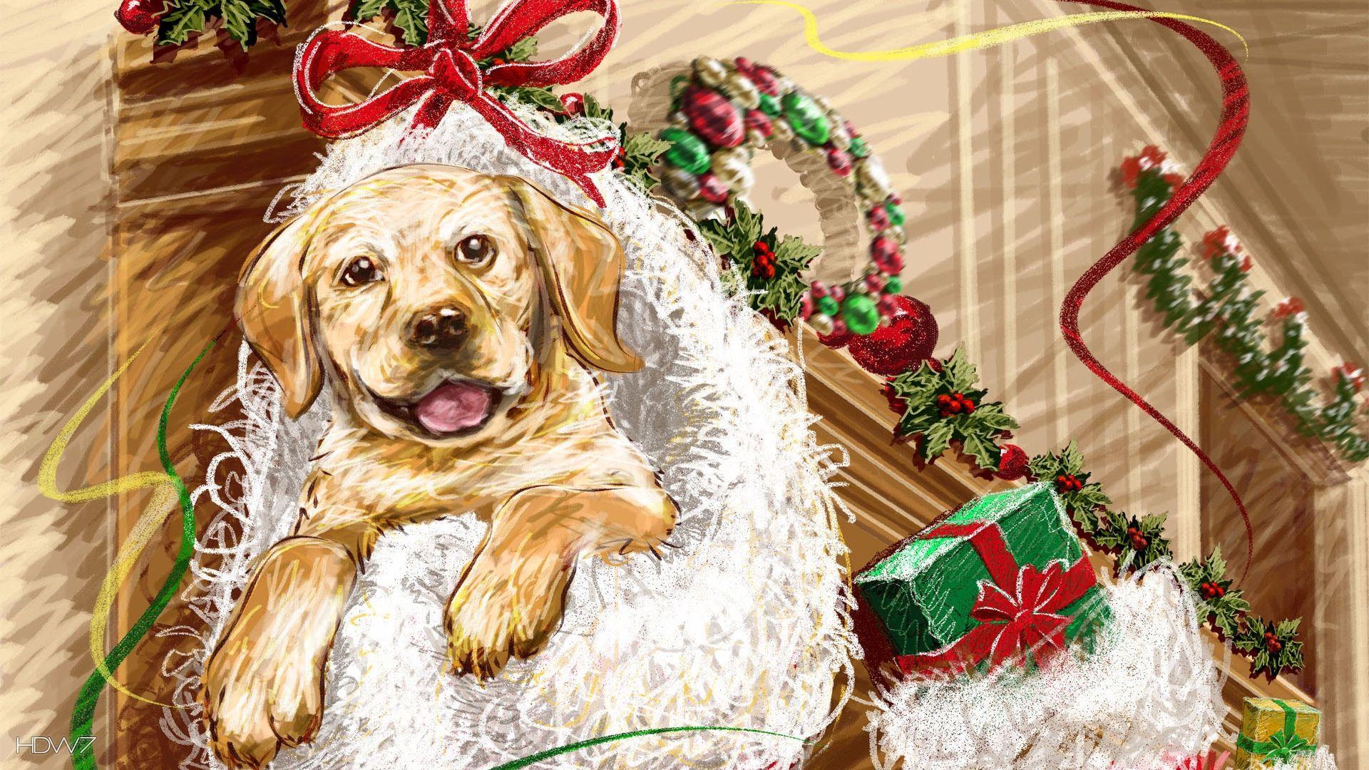 Christmas Puppy HD Wallpapers - Top Free Christmas Puppy HD Backgrounds ...