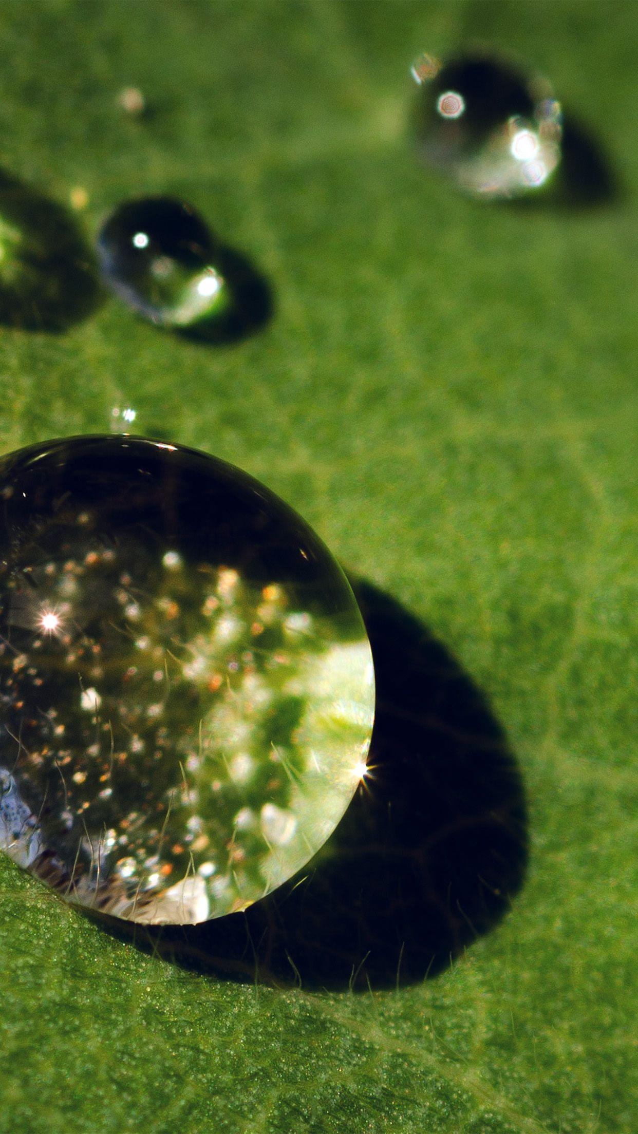 Green Leaf Rain Wallpapers - Top Free Green Leaf Rain Backgrounds ...