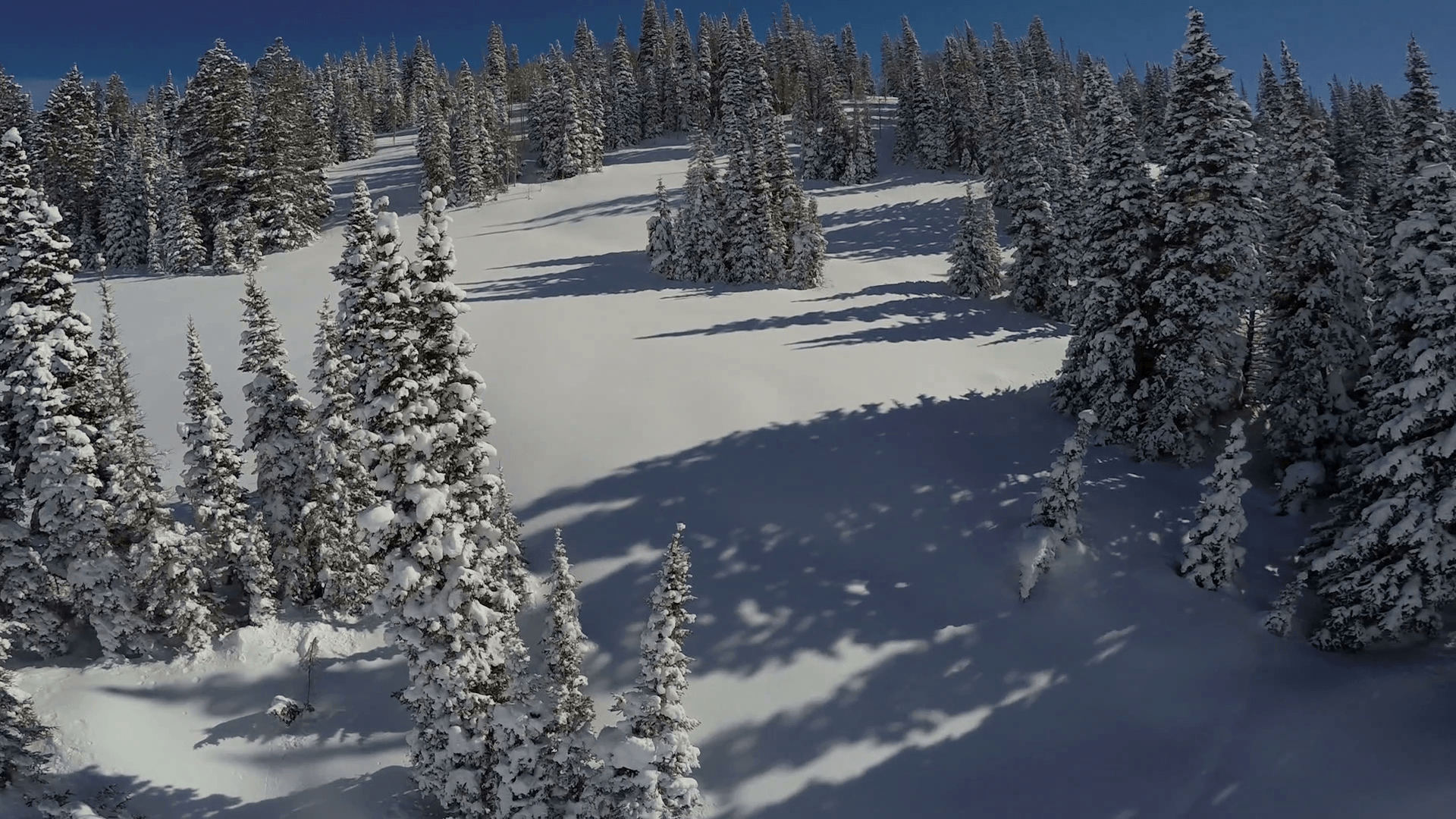 Pristine Snow 4K Wallpapers - Top Free Pristine Snow 4K Backgrounds ...