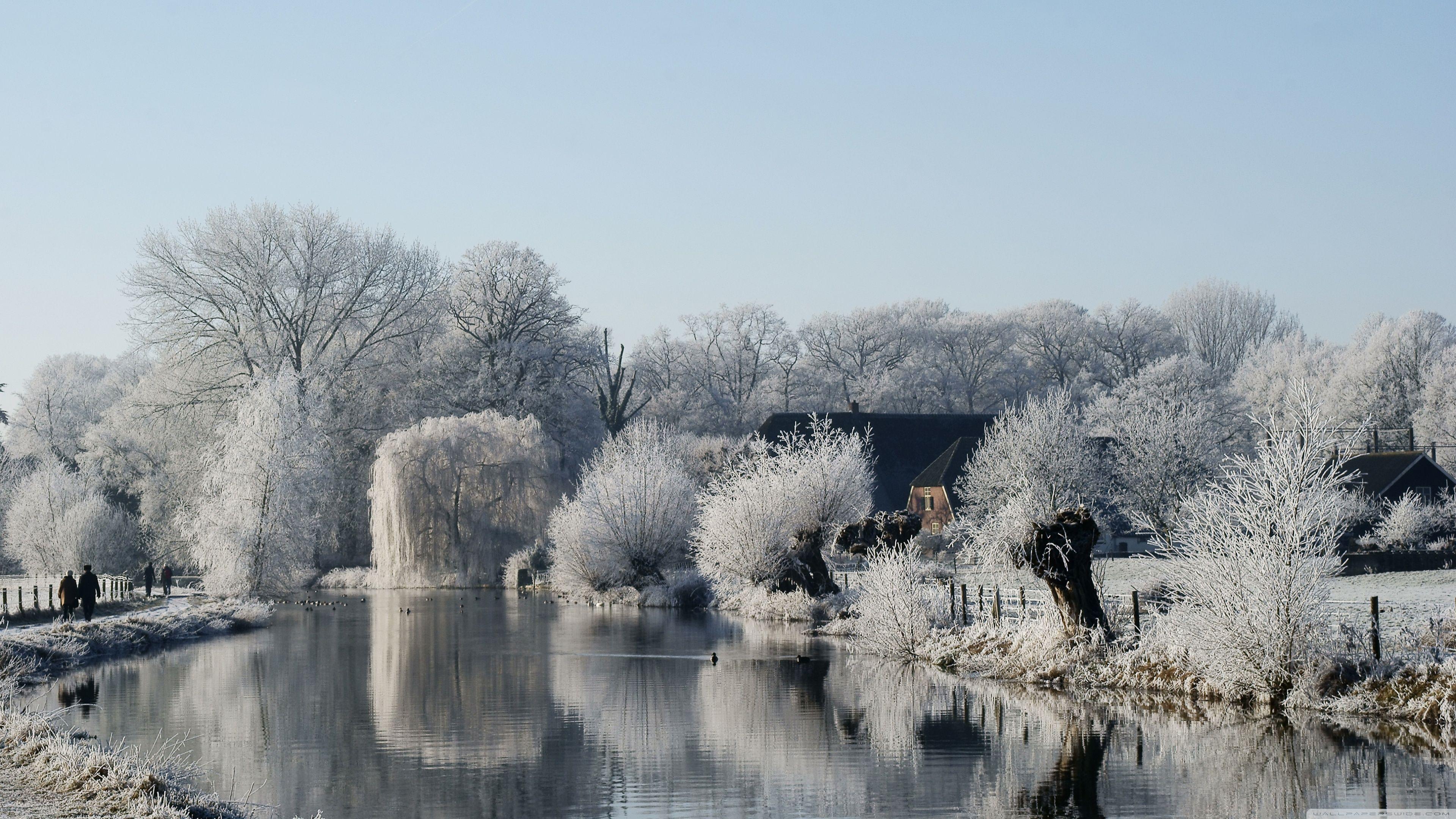 Frosty Wallpapers - Top Free Frosty Backgrounds - WallpaperAccess