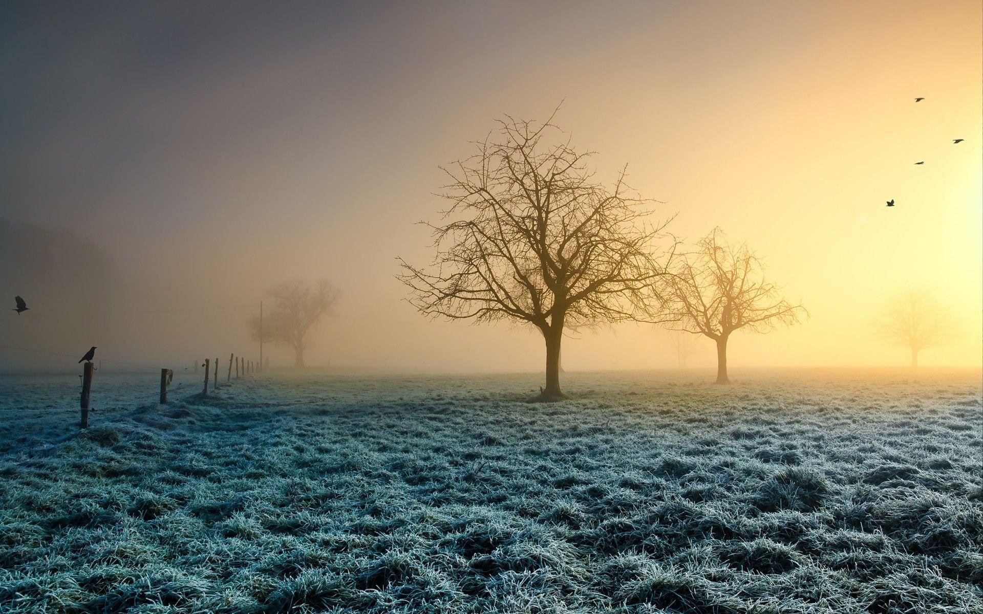 Frosty Morning Wallpapers - Top Free Frosty Morning Backgrounds ...