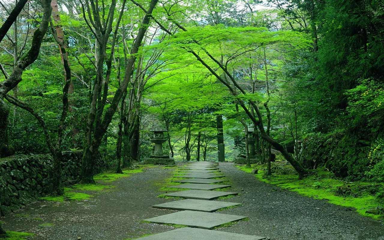 Peaceful Japanese Wallpapers - Top Free Peaceful Japanese Backgrounds ...