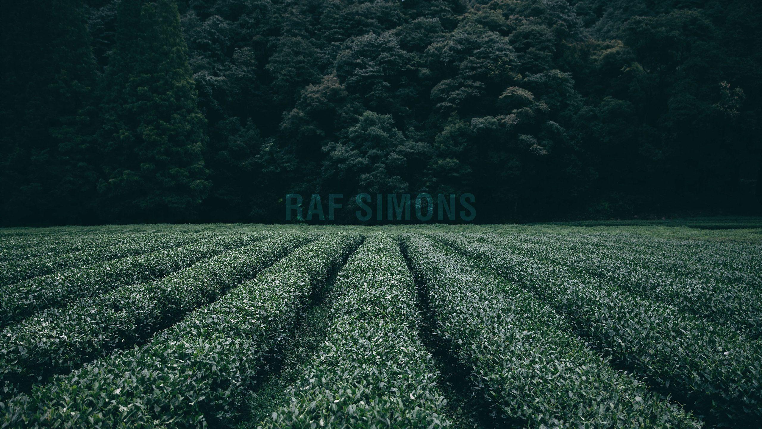 RAF Wallpapers - Top Free RAF Backgrounds - WallpaperAccess