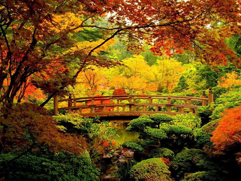 Peaceful Japanese Wallpapers - Top Free Peaceful Japanese Backgrounds ...