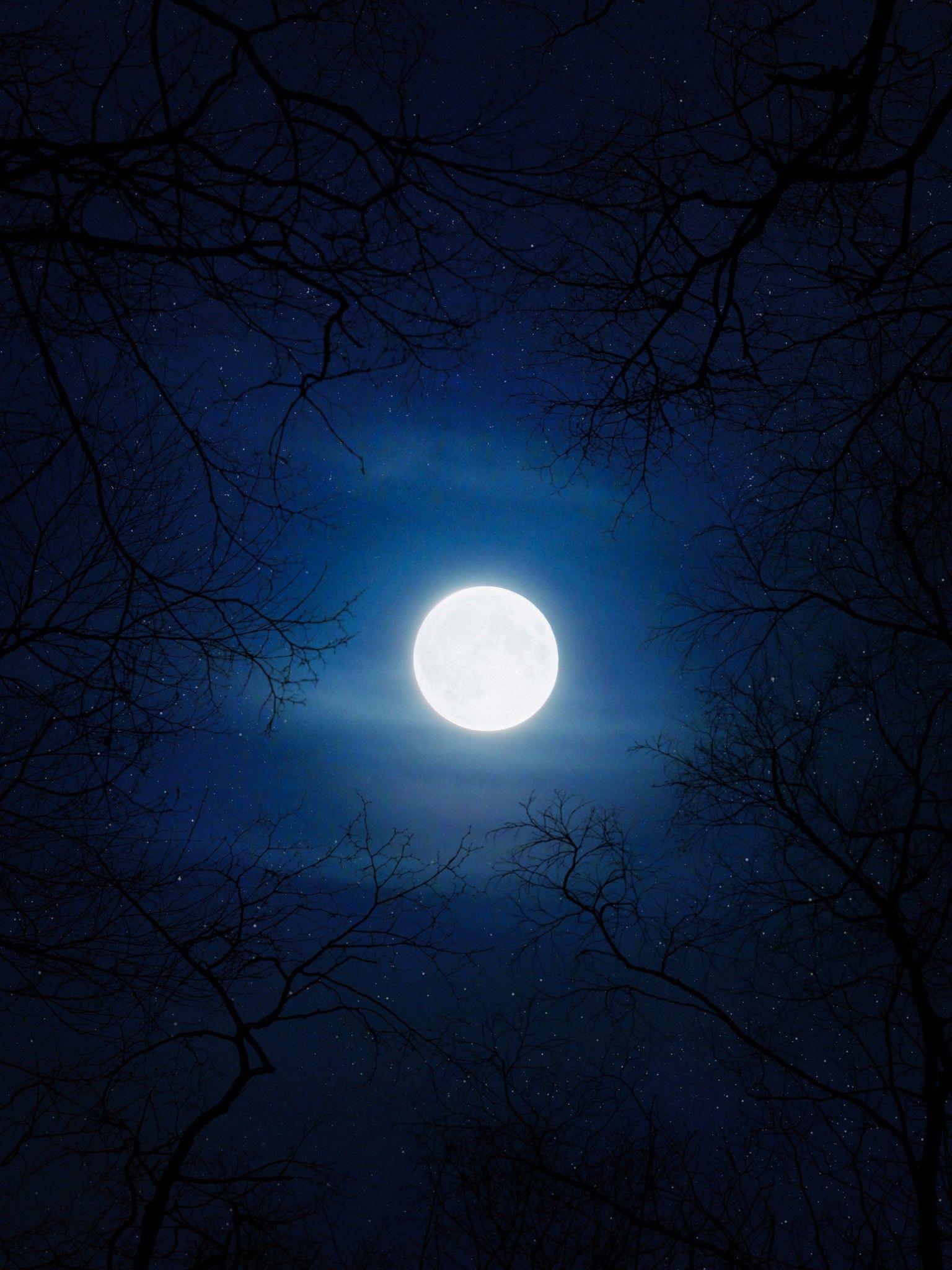 Dark Blue Moon Wallpapers - Top Free Dark Blue Moon Backgrounds ...