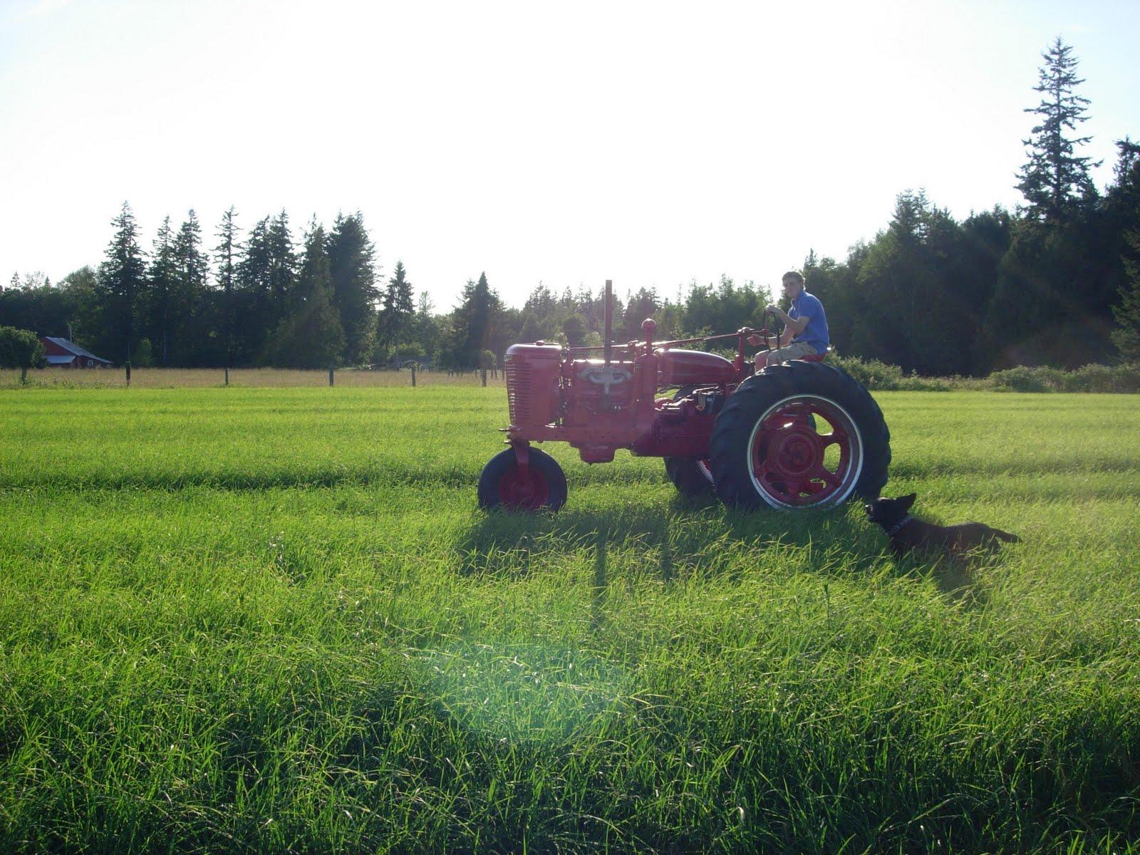 Farmall Wallpapers - Top Free Farmall Backgrounds - WallpaperAccess