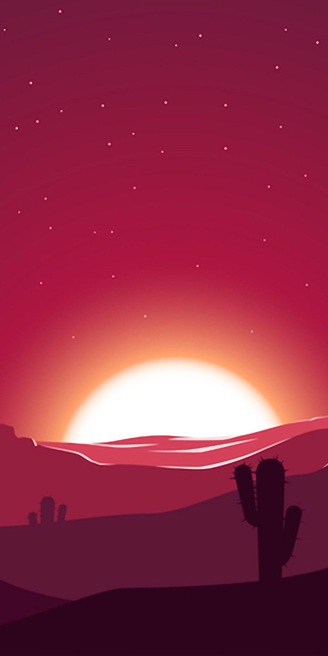 Cactus Sunset Wallpapers - Top Free Cactus Sunset Backgrounds ...