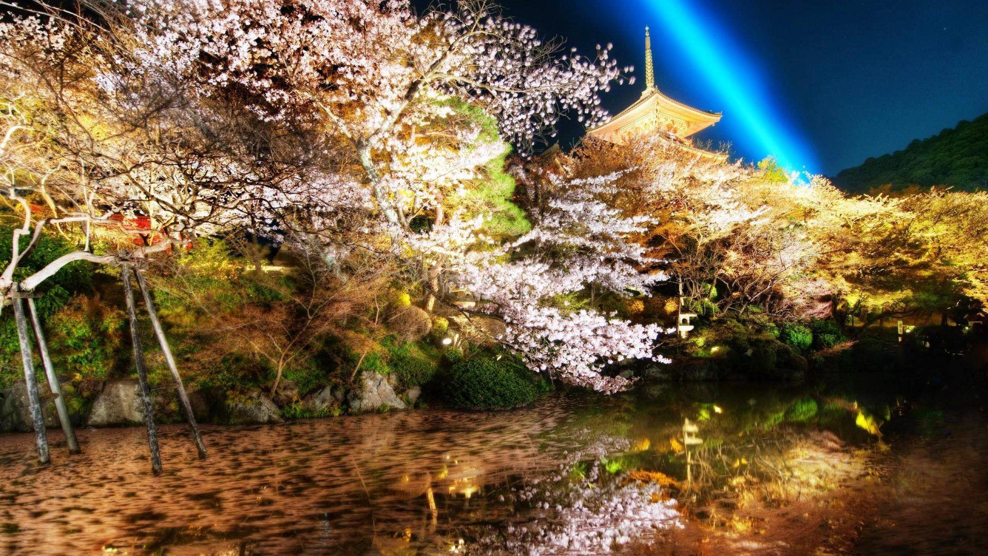 Japanese Night Wallpapers - Top Free Japanese Night Backgrounds ...