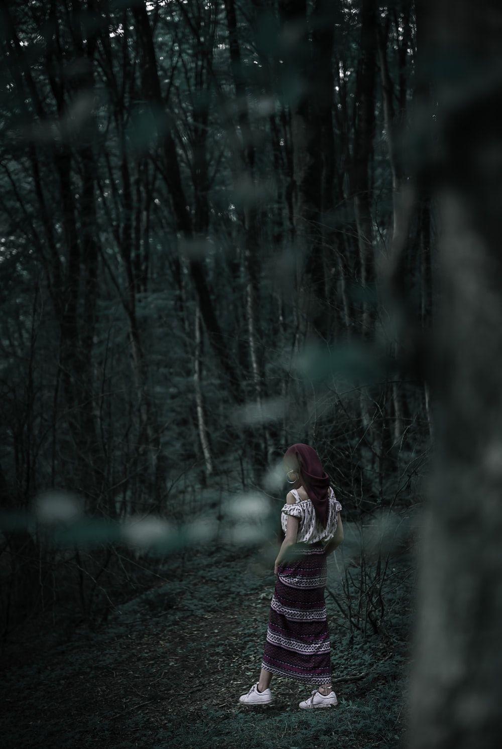 Kourosh Wallpapers - Top Free Kourosh Backgrounds - WallpaperAccess