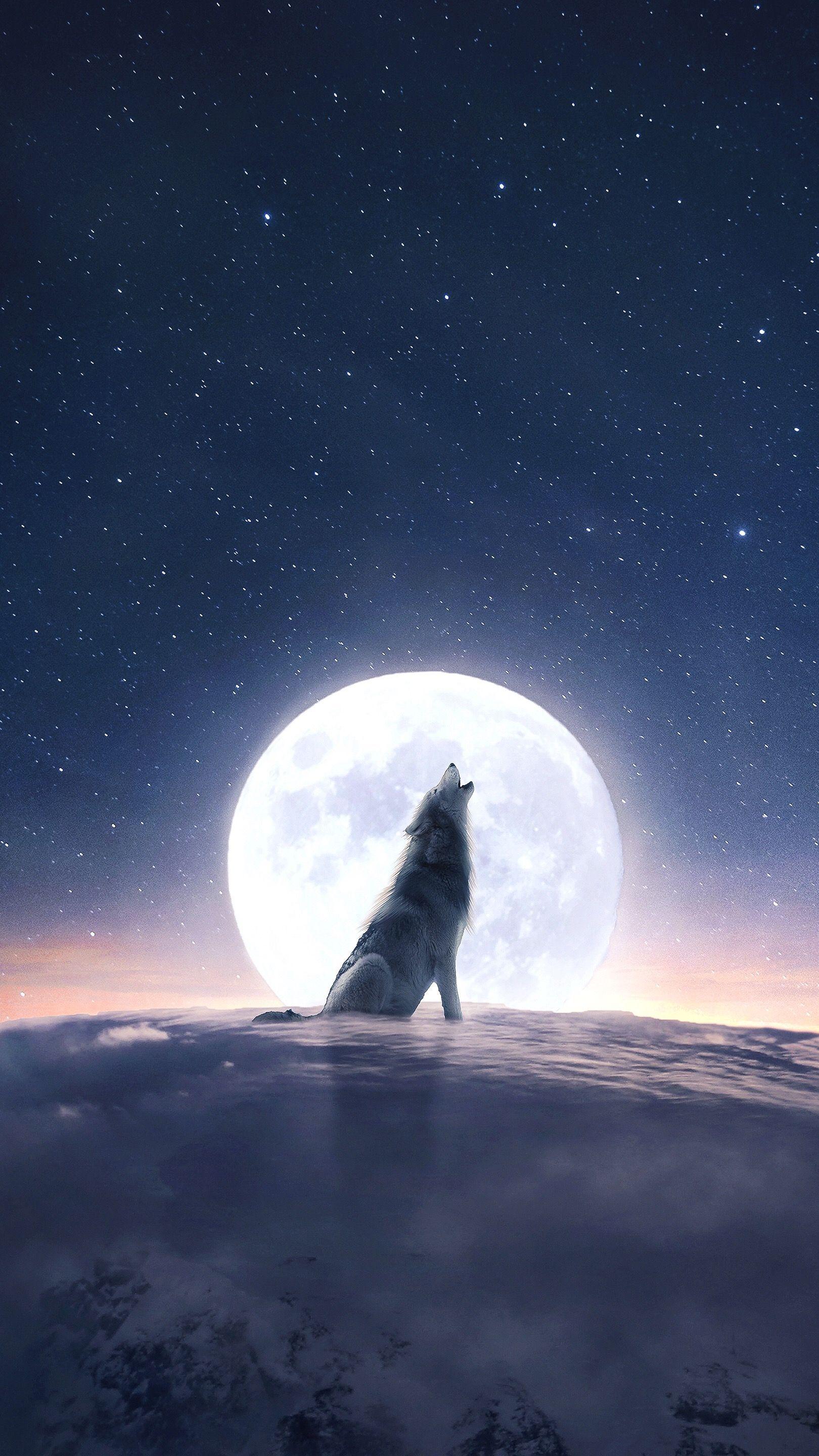 Wolf Aesthetic Wallpapers - Top Free Wolf Aesthetic Backgrounds ...