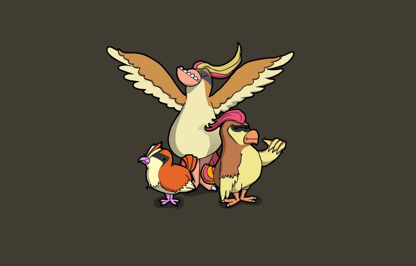 Pidgeot Wallpapers - Top Free Pidgeot Backgrounds - WallpaperAccess