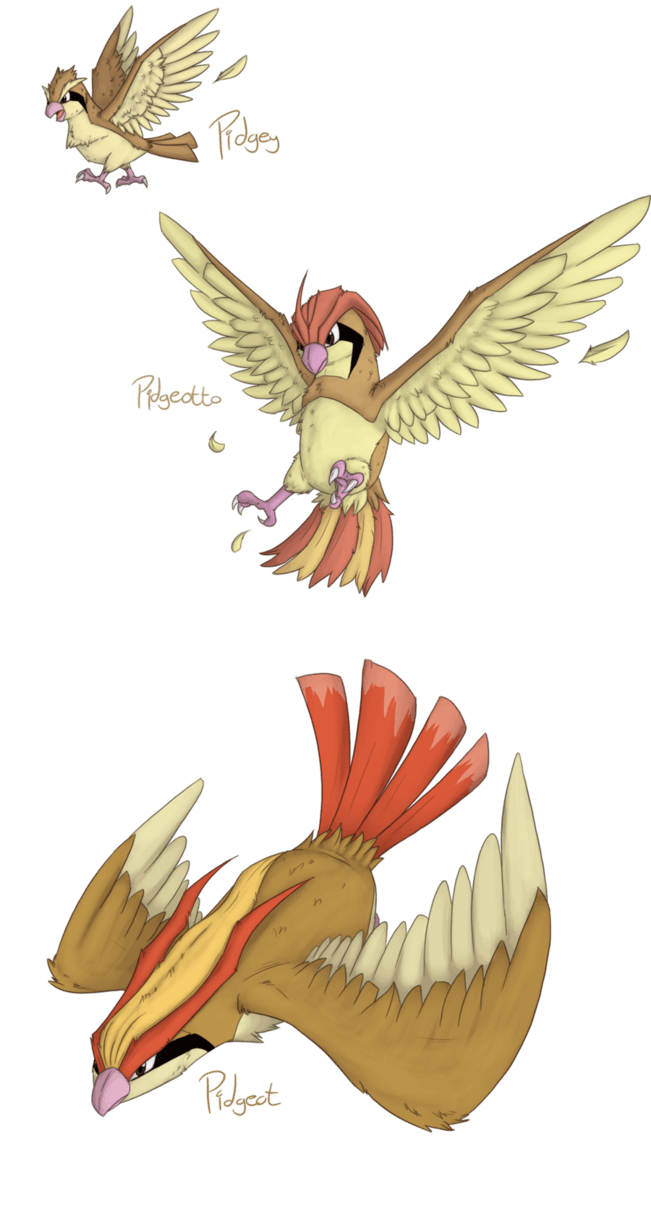 Pidgey Wallpapers - Top Free Pidgey Backgrounds - WallpaperAccess