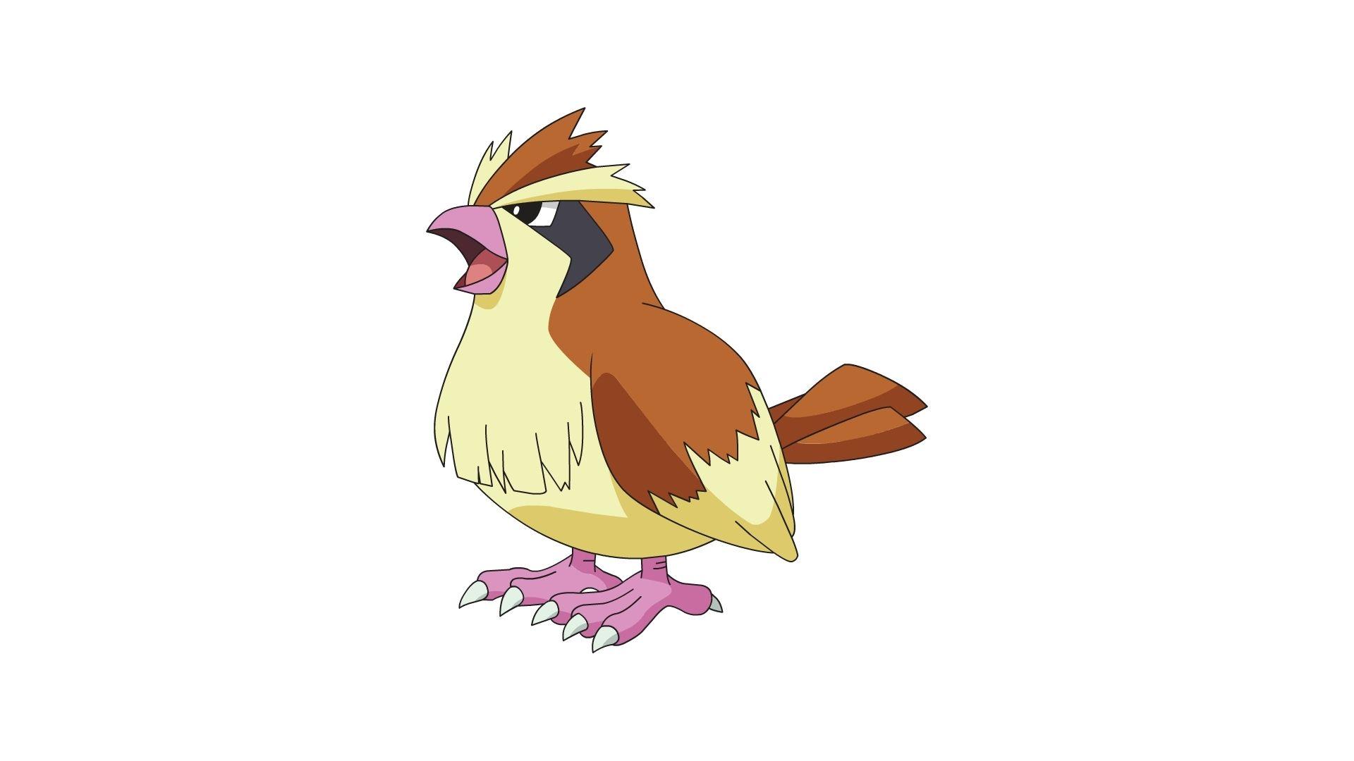 Pidgey Wallpapers - Top Free Pidgey Backgrounds - WallpaperAccess