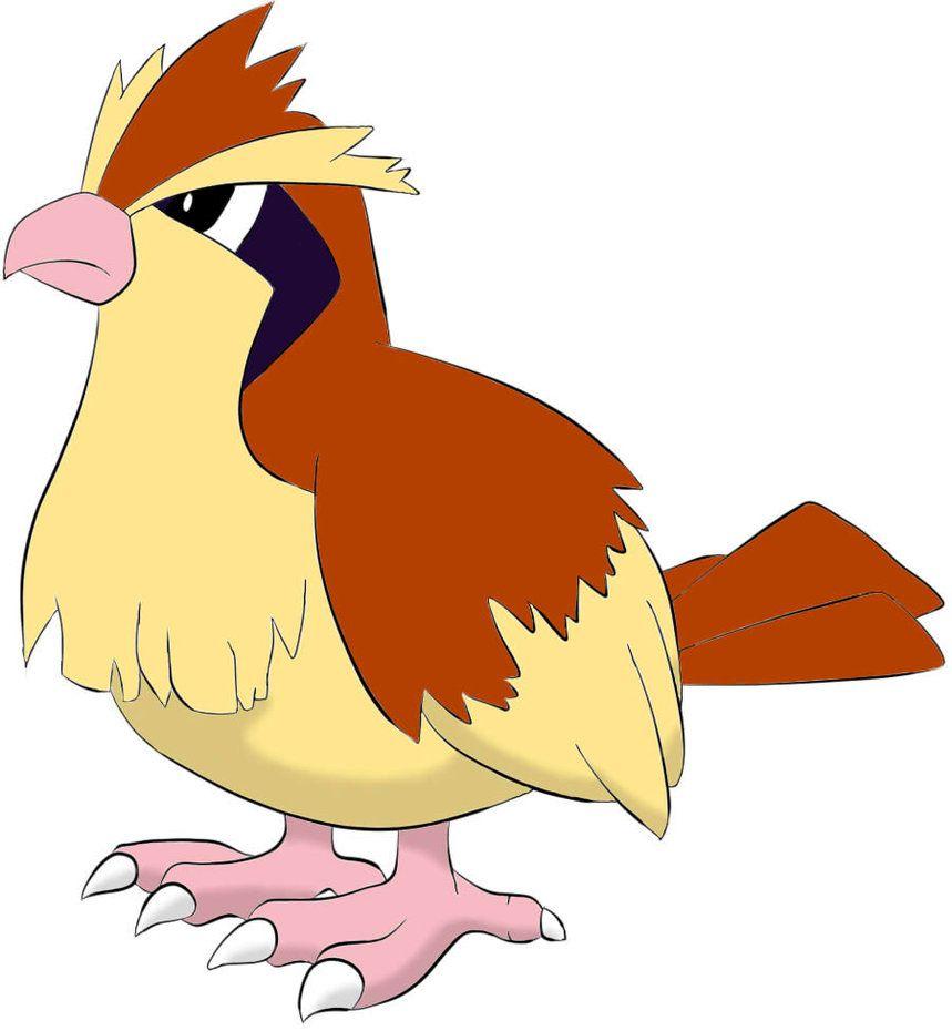 Pidgey Wallpapers - Top Free Pidgey Backgrounds - WallpaperAccess