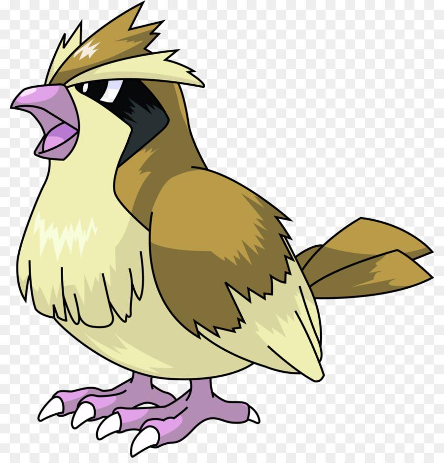 Pidgey Wallpapers - Top Free Pidgey Backgrounds - WallpaperAccess