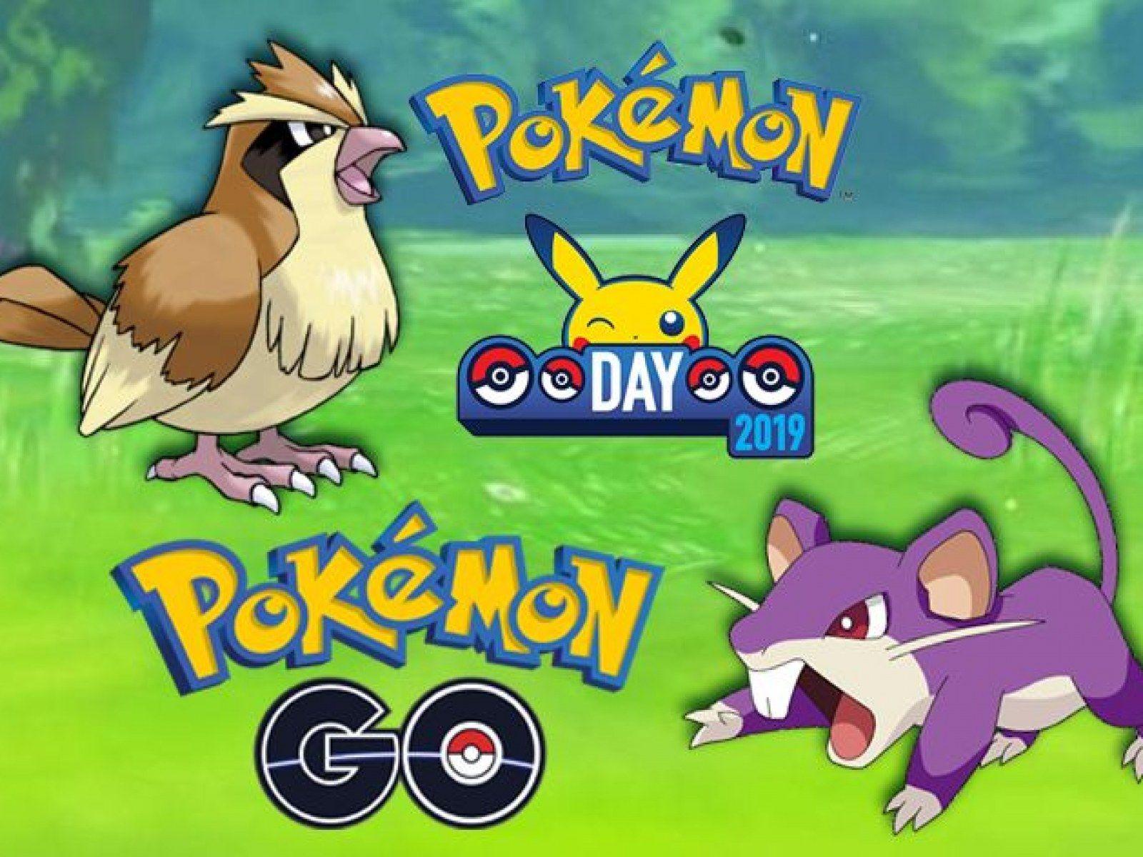 Pidgey Wallpapers - Top Free Pidgey Backgrounds - WallpaperAccess