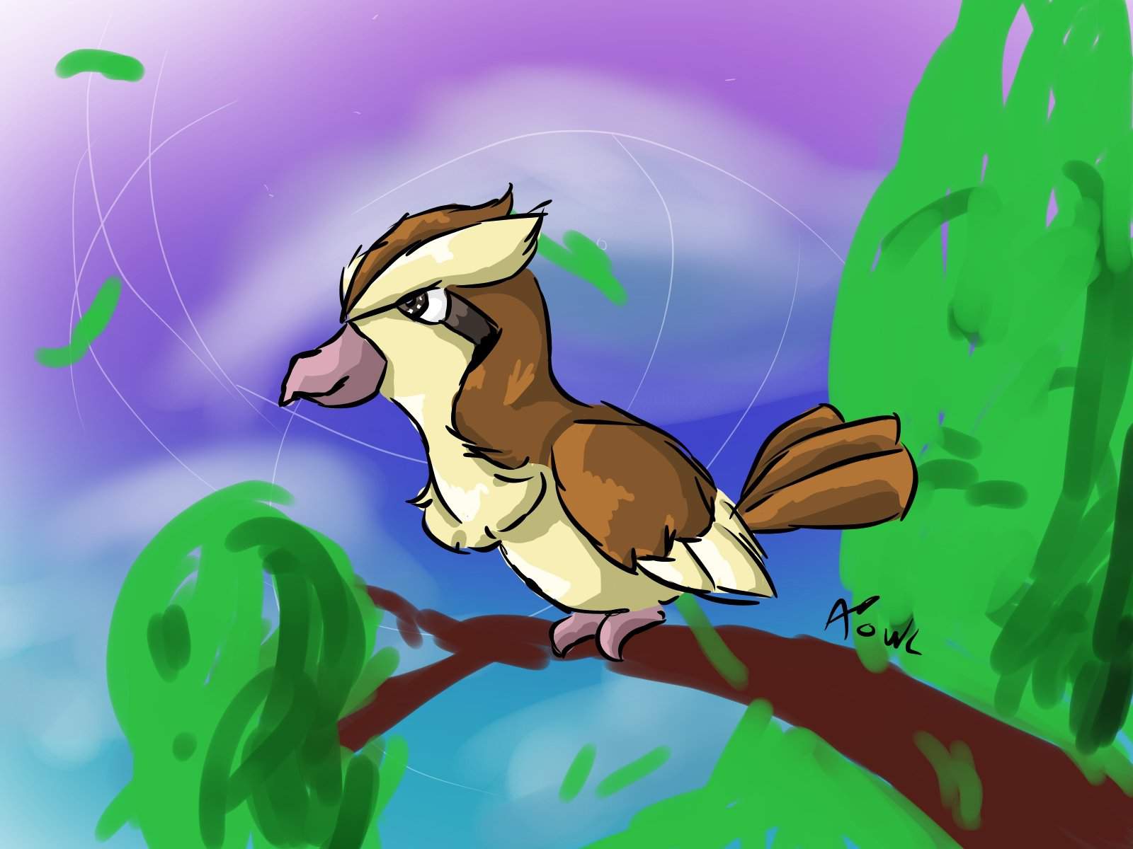 Pidgey Wallpapers - Top Free Pidgey Backgrounds - WallpaperAccess