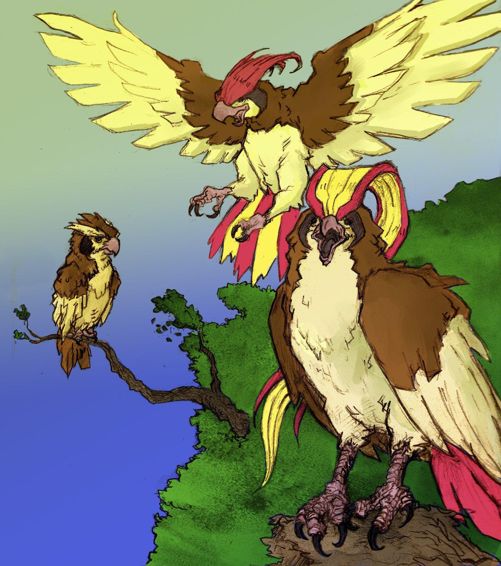 Pidgey Wallpapers - Top Free Pidgey Backgrounds - WallpaperAccess