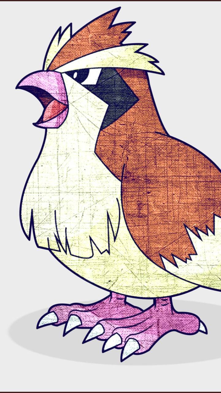 Pidgey Wallpapers - Top Free Pidgey Backgrounds - WallpaperAccess