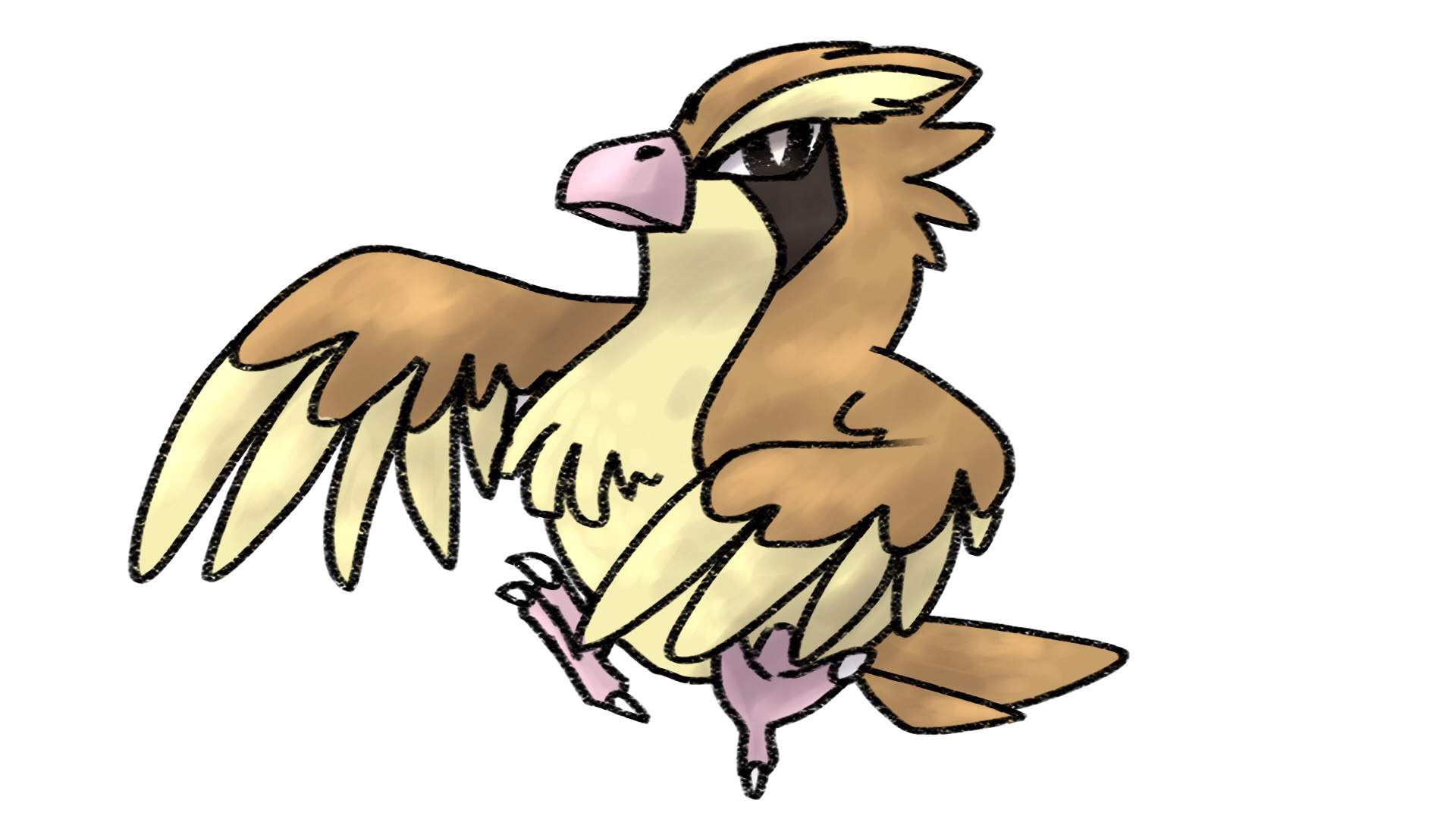 Pidgey Wallpapers - Top Free Pidgey Backgrounds - WallpaperAccess