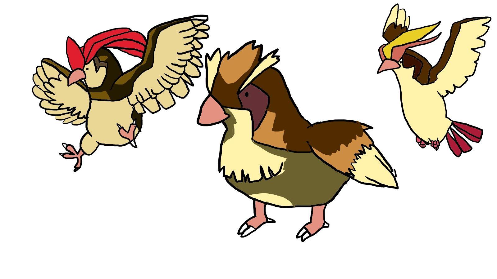 Pidgey Wallpapers - Top Free Pidgey Backgrounds - WallpaperAccess