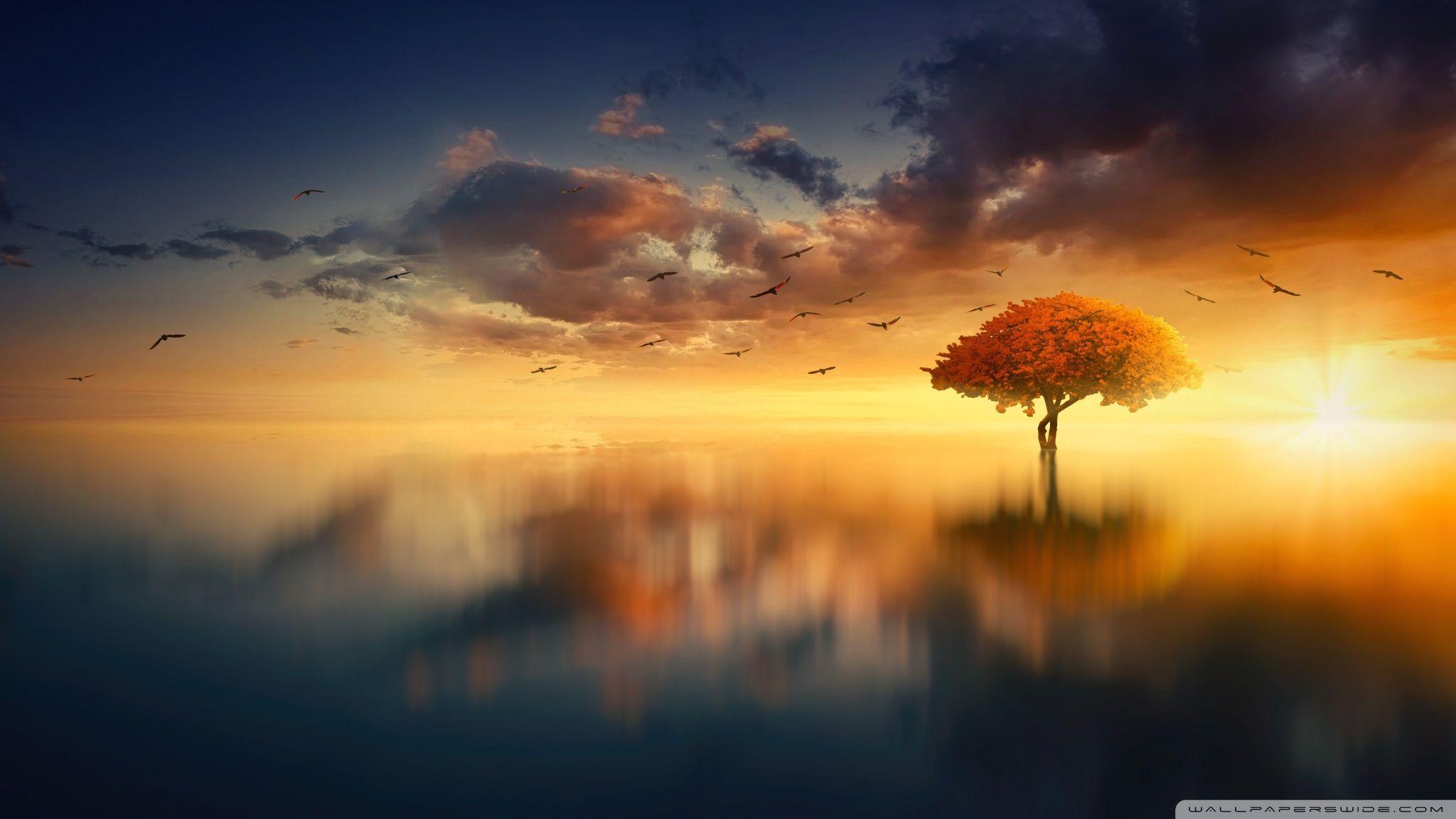 Calm Aesthetic Desktop Wallpapers - Top Free Calm Aesthetic Desktop ...