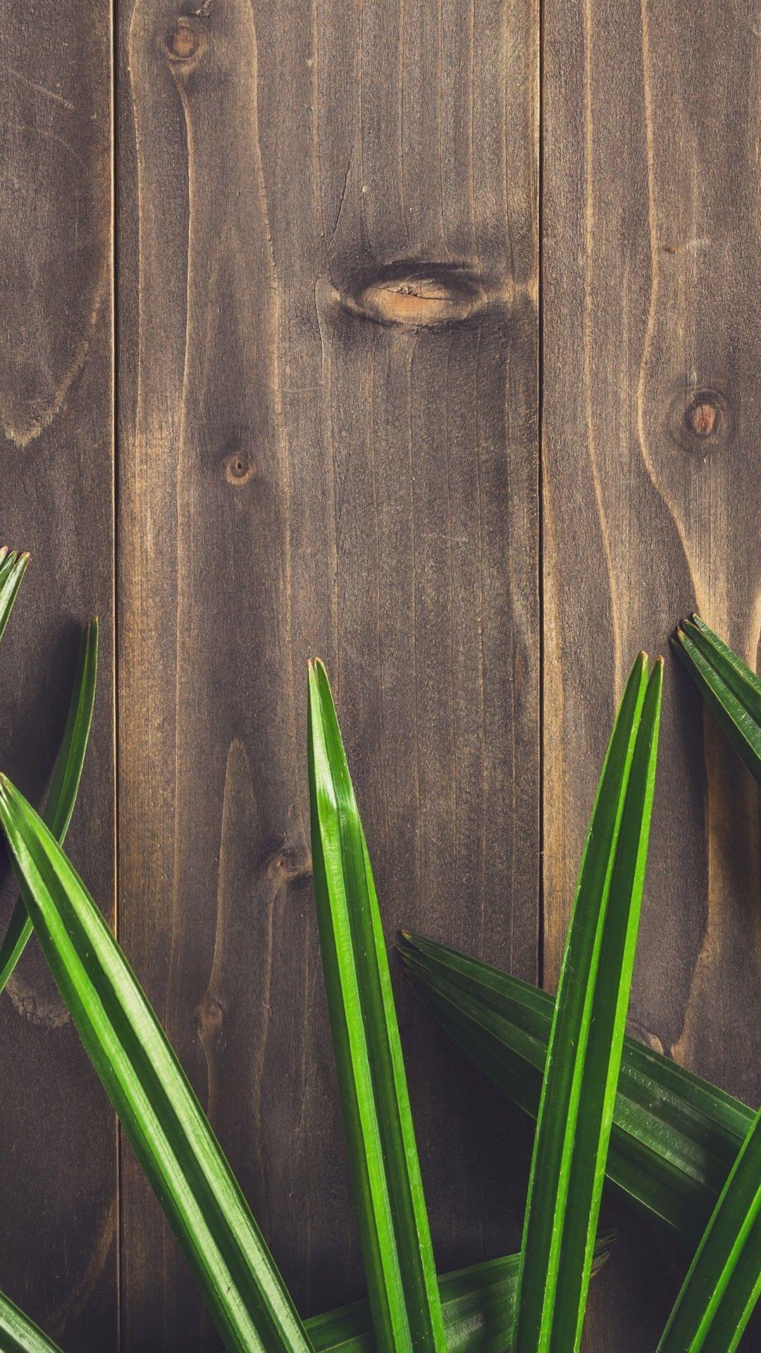 Green Board Wallpapers - Top Free Green Board Backgrounds - WallpaperAccess