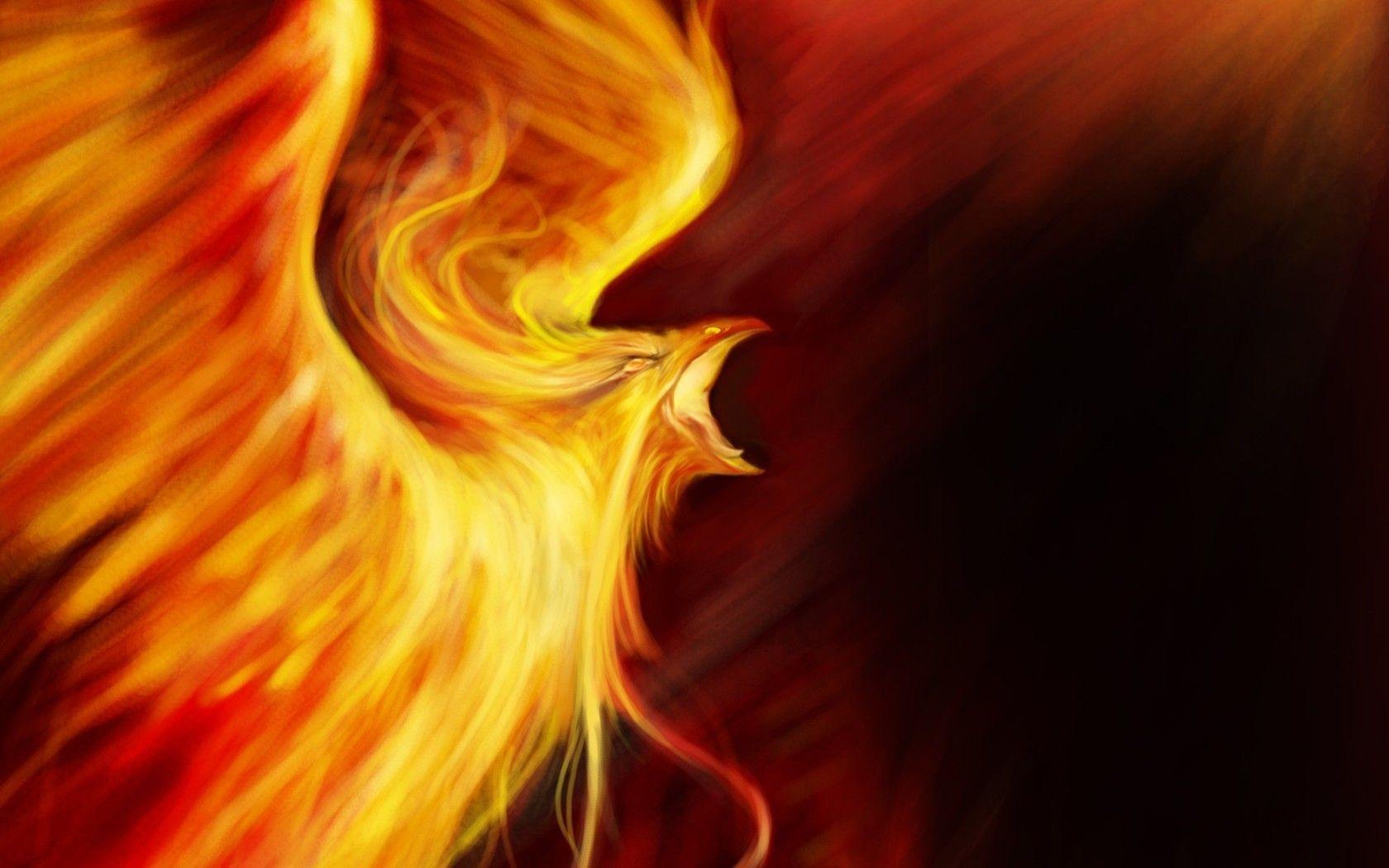 Phoenix Bird Wallpapers - Top Free Phoenix Bird Backgrounds ...