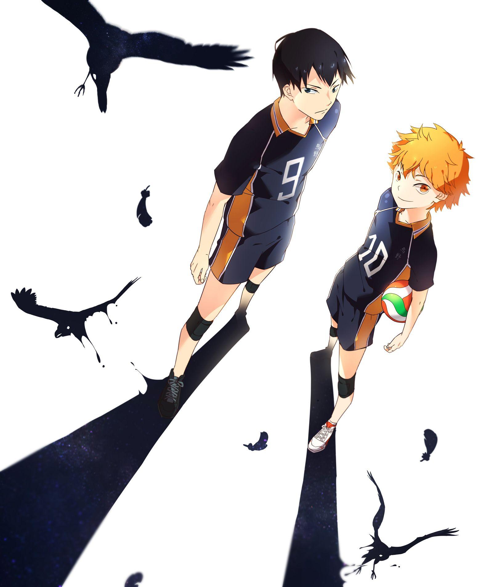 Haikyuu Fly Wallpapers - Top Free Haikyuu Fly Backgrounds - WallpaperAccess