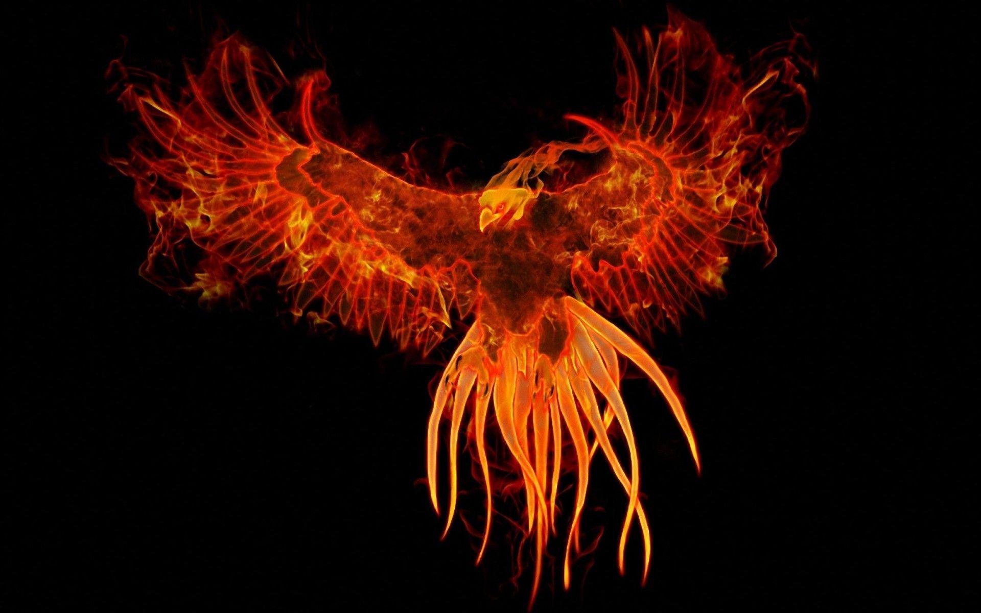 Phoenix Bird Wallpapers - Top Free Phoenix Bird Backgrounds ...
