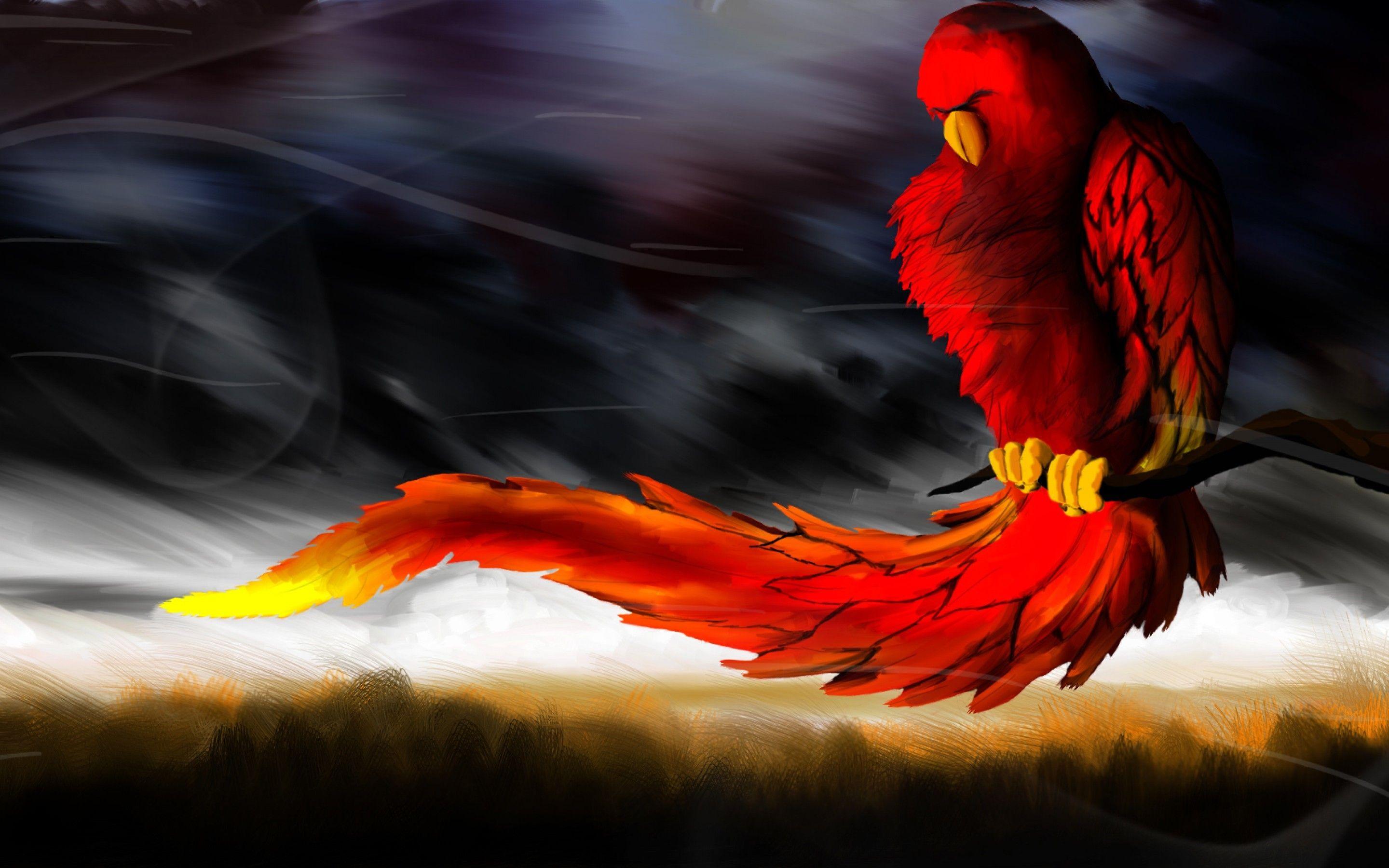 Phoenix Bird Wallpapers - Top Free Phoenix Bird Backgrounds ...