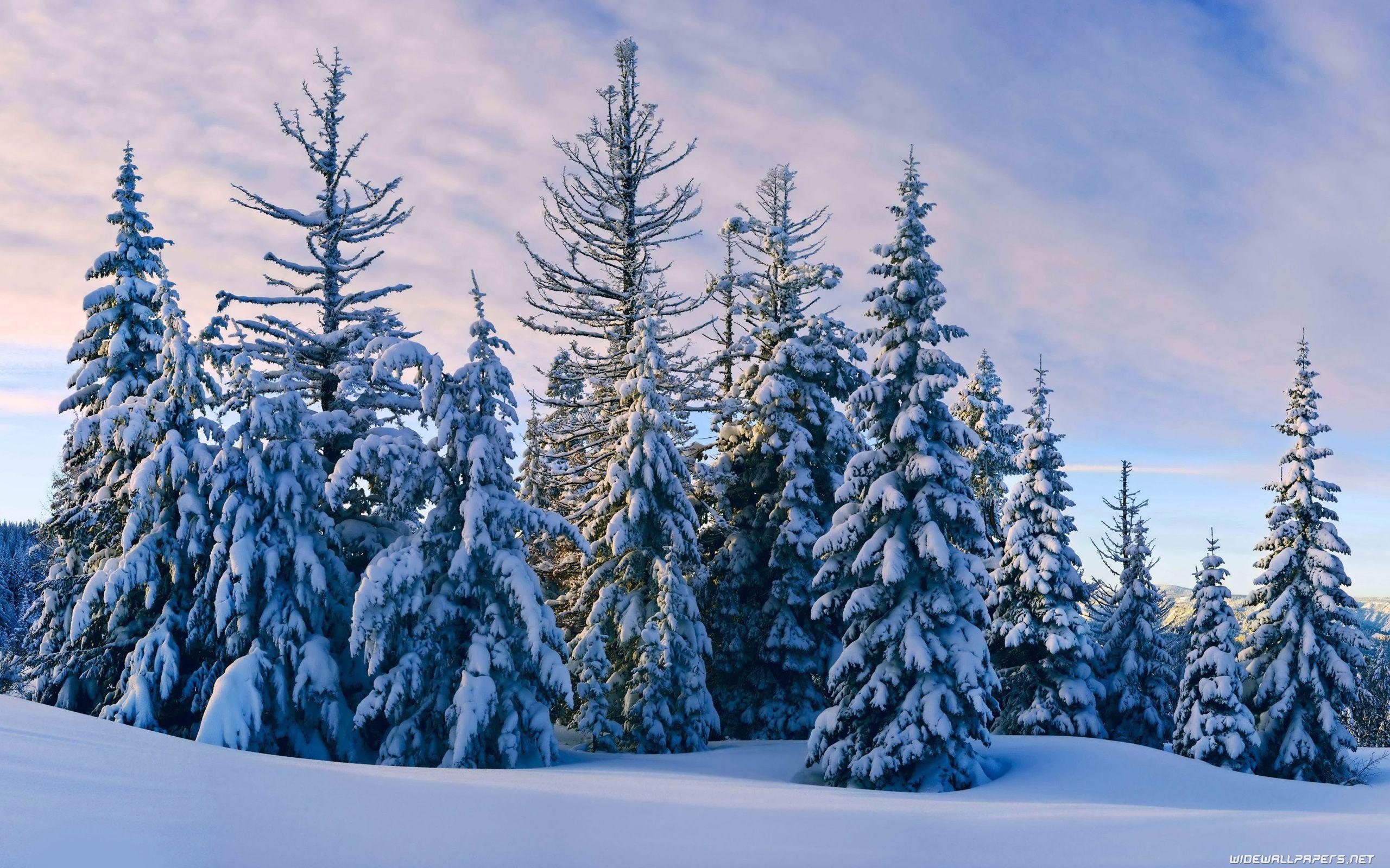 Winter Desktop Wallpapers - Top Free Winter Desktop Backgrounds ...