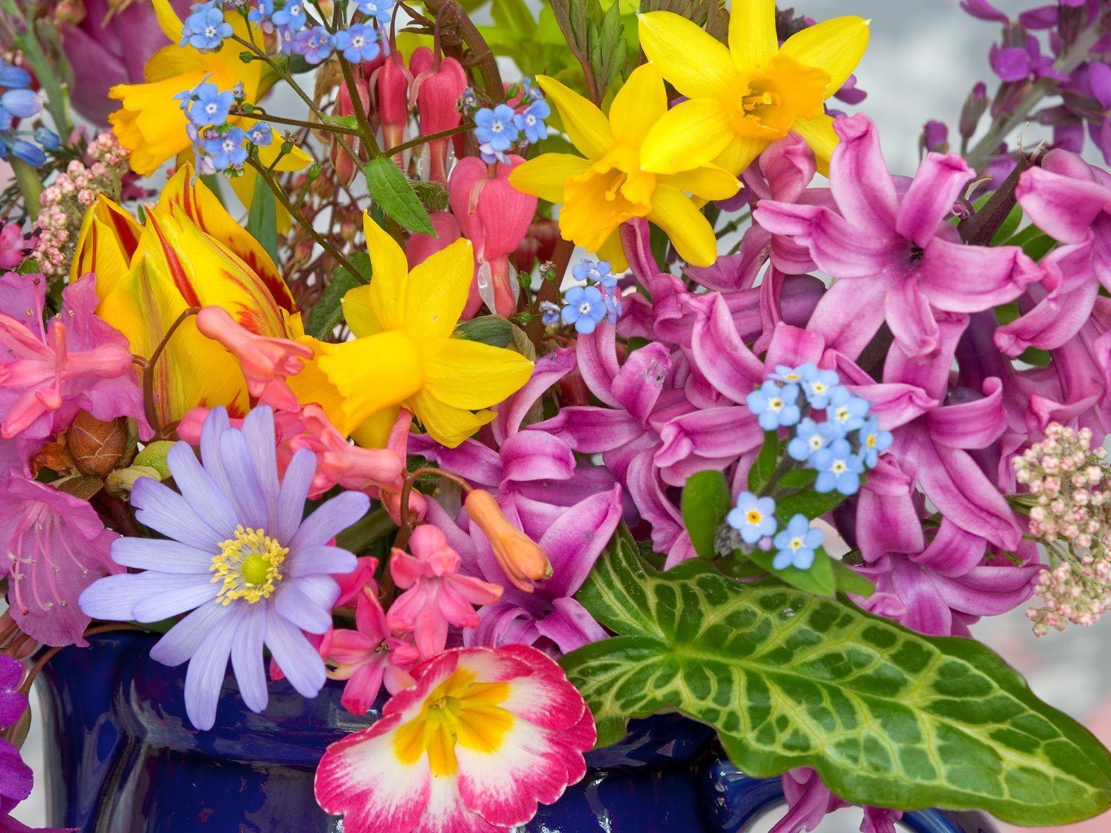 Colorful Spring Computer Wallpapers - Top Free Colorful Spring Computer ...