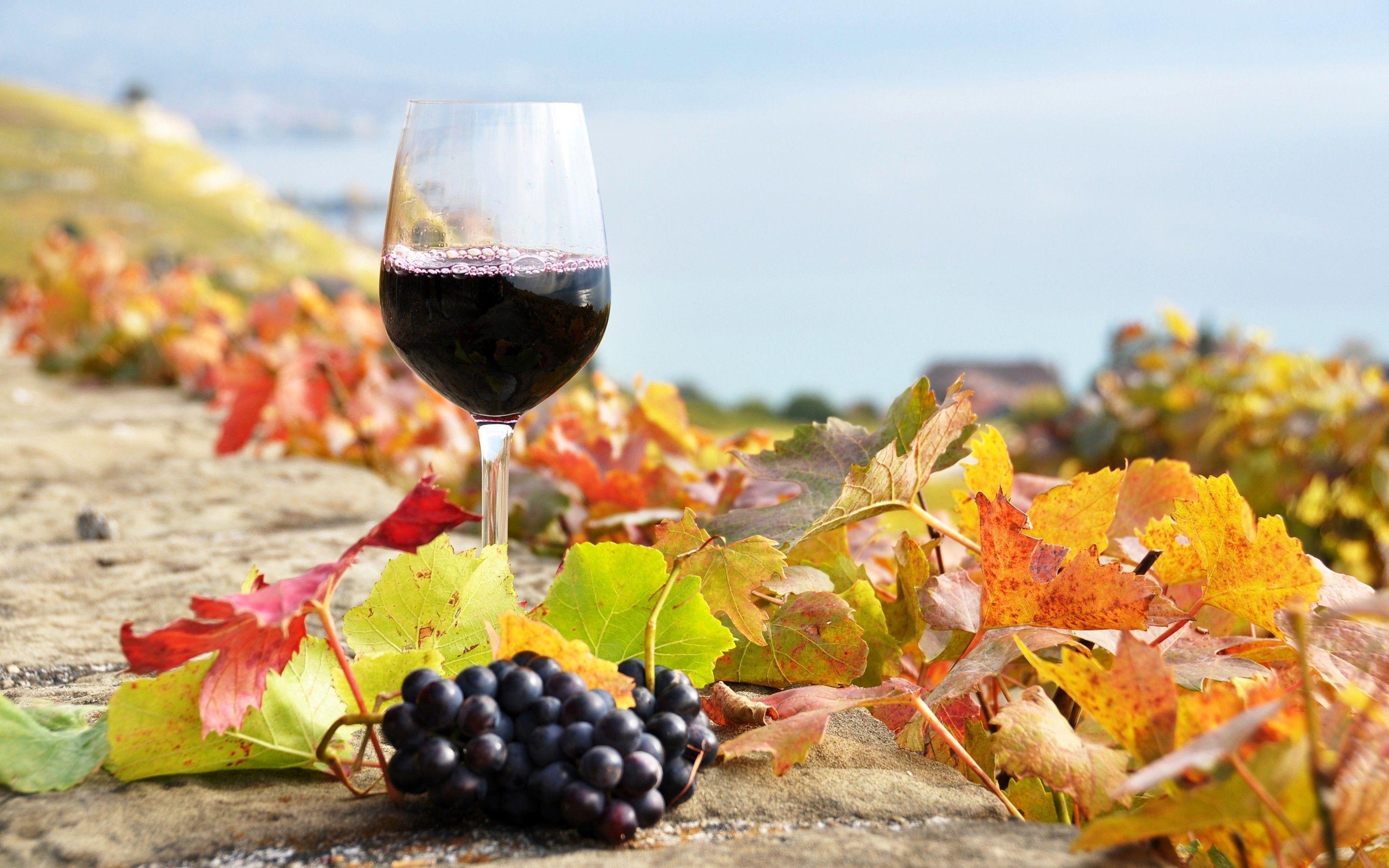 Wine Computer Wallpapers - Top Free Wine Computer Backgrounds ...