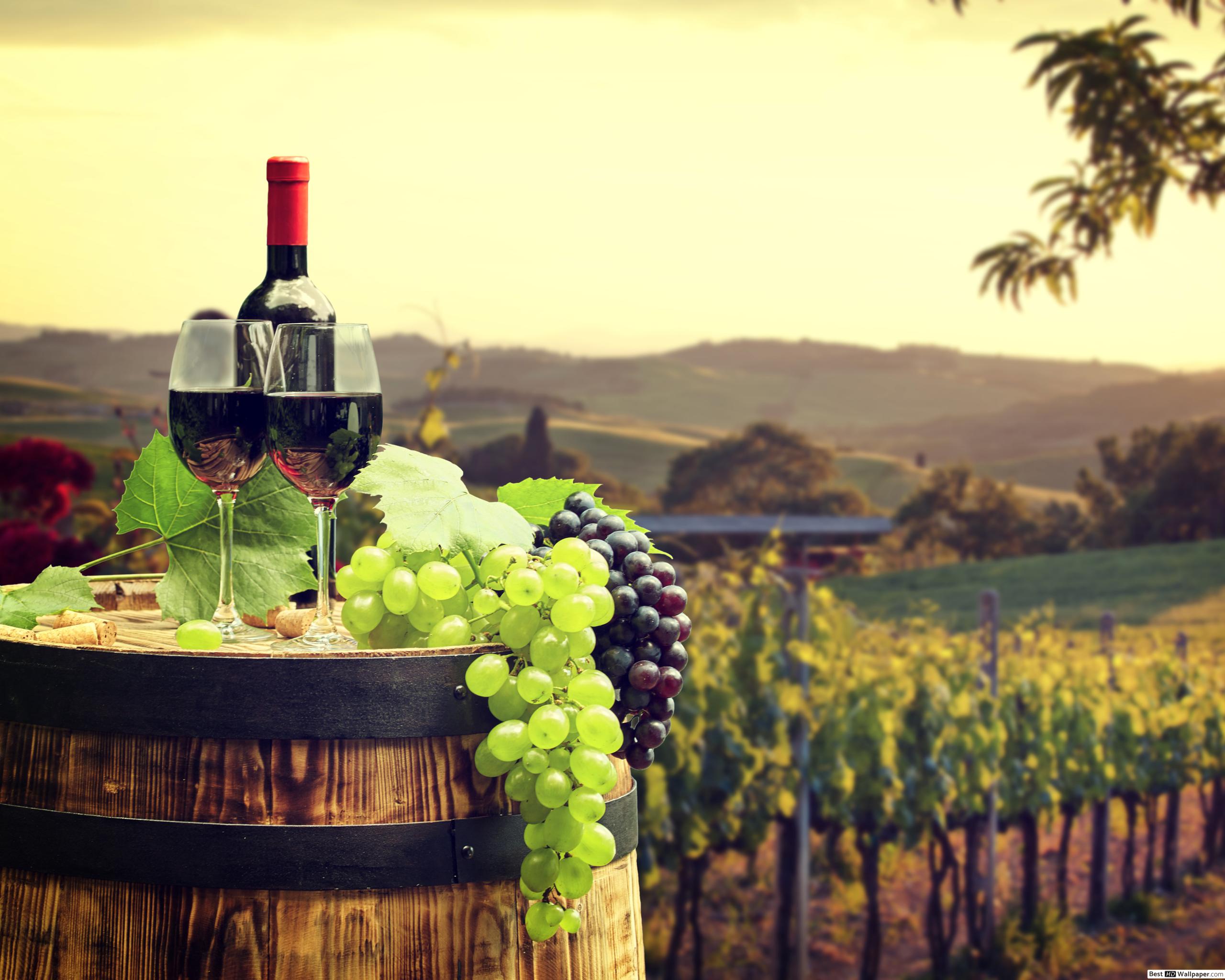 Wine Computer Wallpapers - Top Free Wine Computer Backgrounds ...