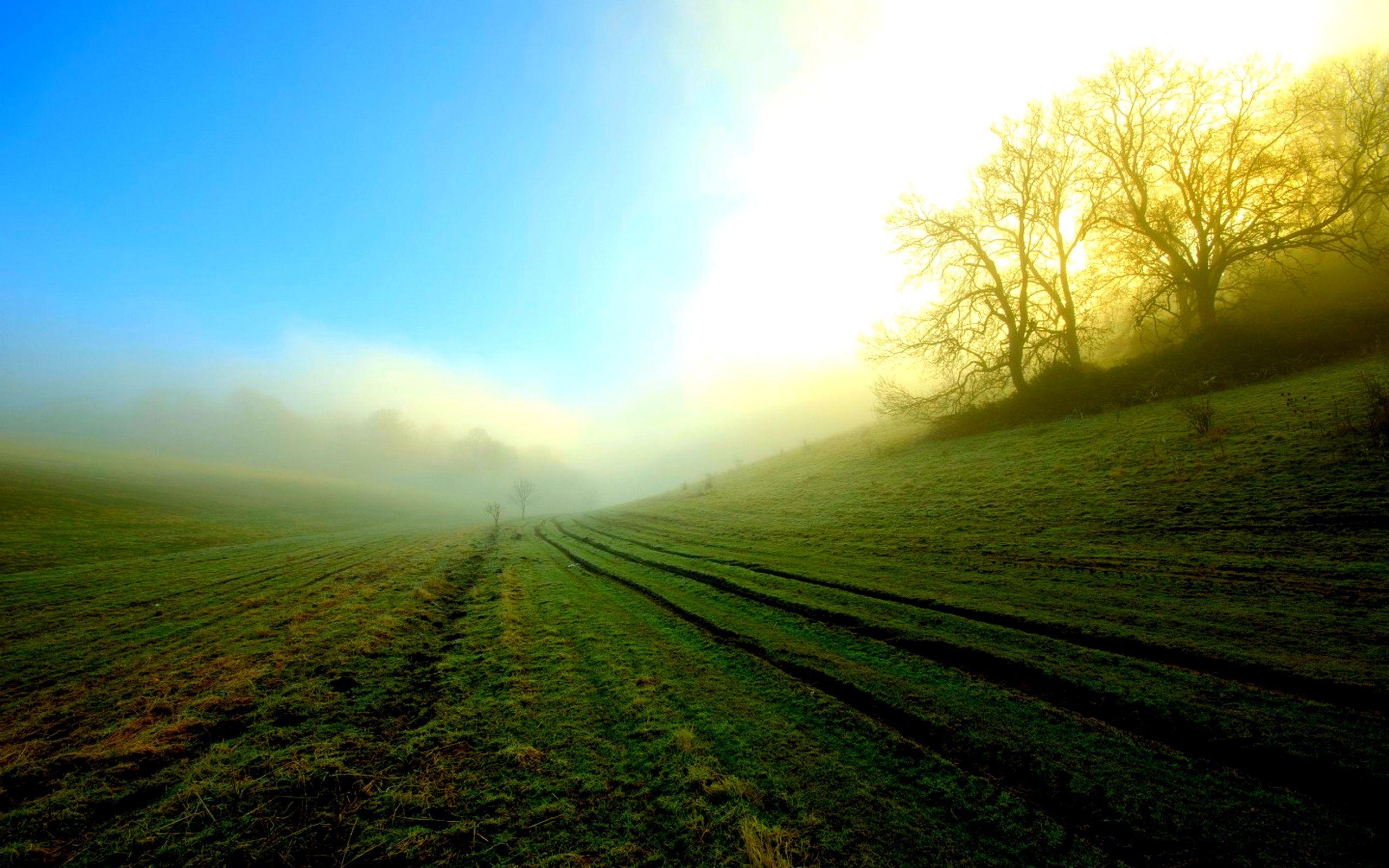 Field Wallpapers - Top Free Field Backgrounds - WallpaperAccess