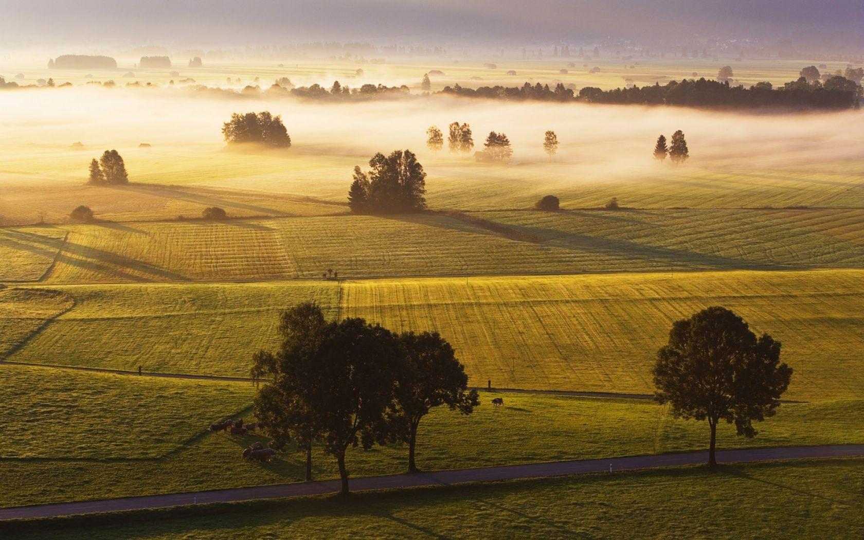 Field Wallpapers - Top Free Field Backgrounds - WallpaperAccess