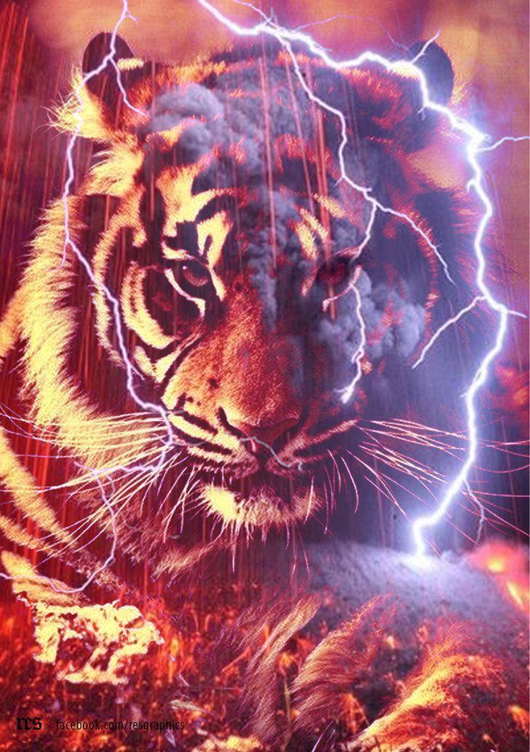 Red Tiger Wallpapers - Top Free Red Tiger Backgrounds - WallpaperAccess