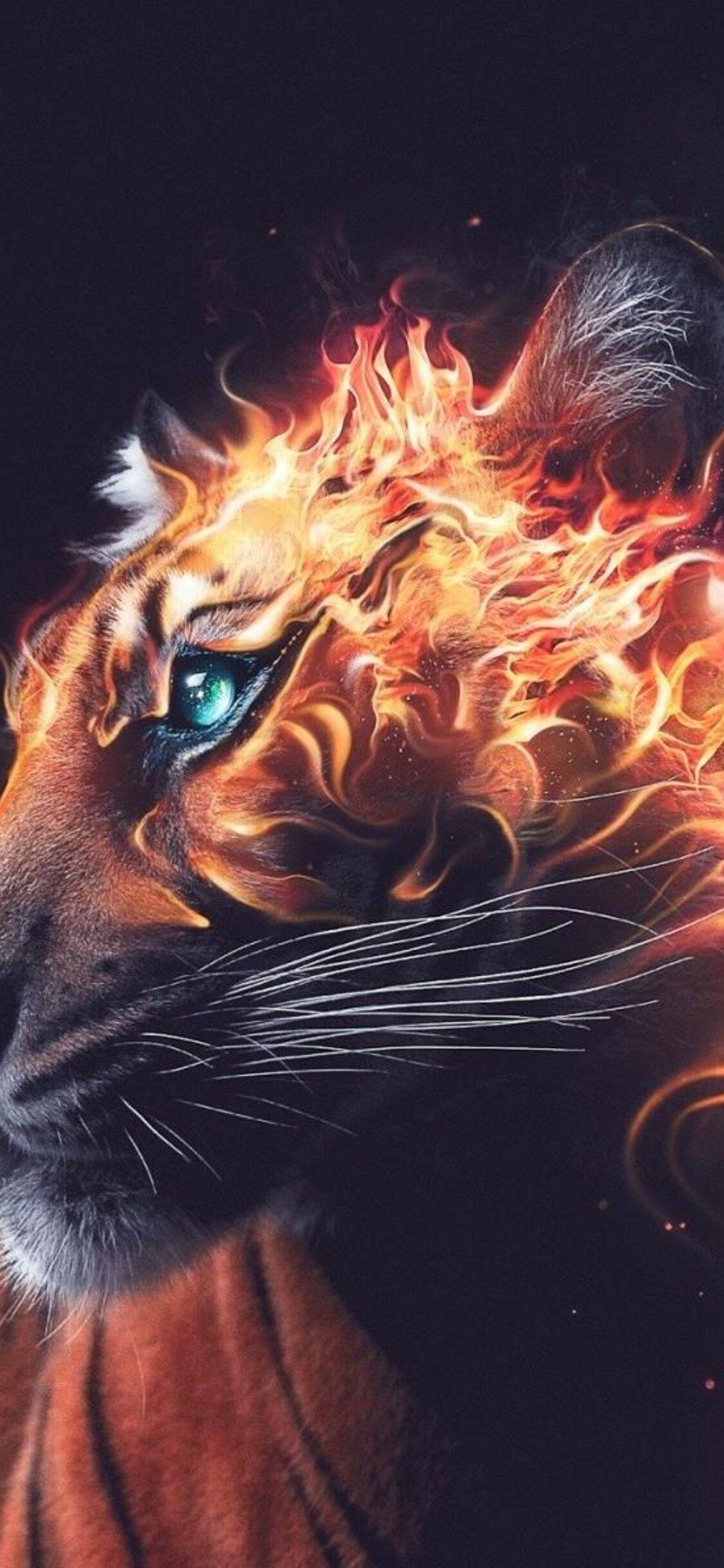 Flaming Tiger Wallpapers - Top Free Flaming Tiger Backgrounds ...