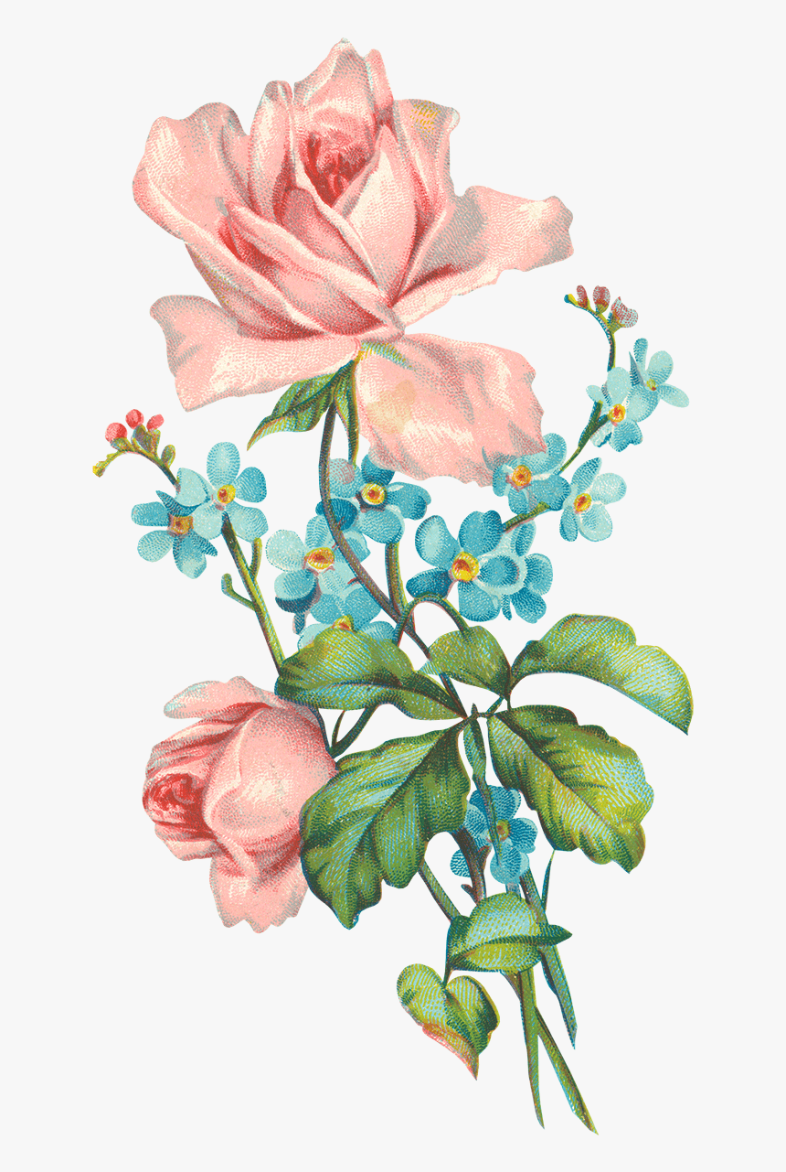 Vintage Rose Flower HD Wallpapers - Top Free Vintage Rose Flower HD ...